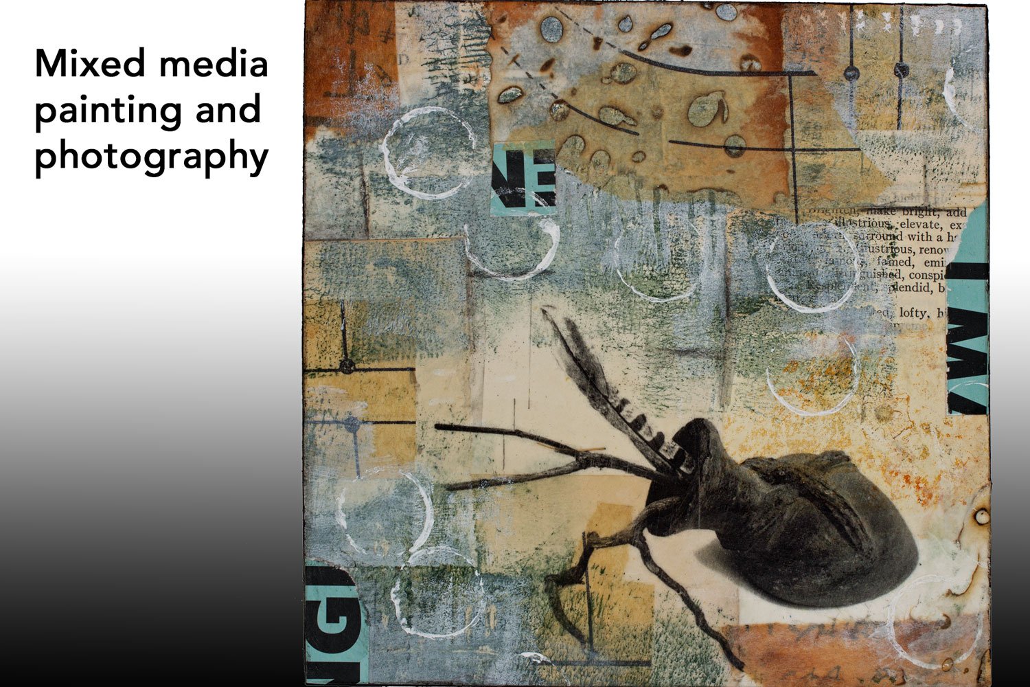 Beth Schwartz Studio