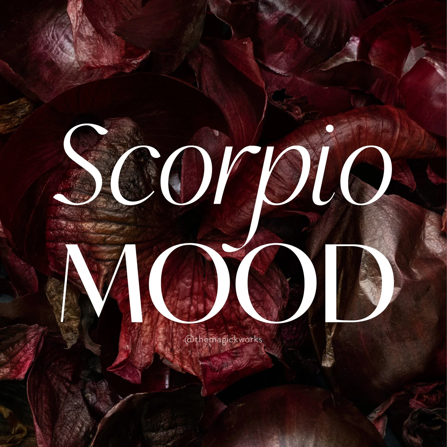 Embracing the Mysteries of Scorpio Season — Magick Makers