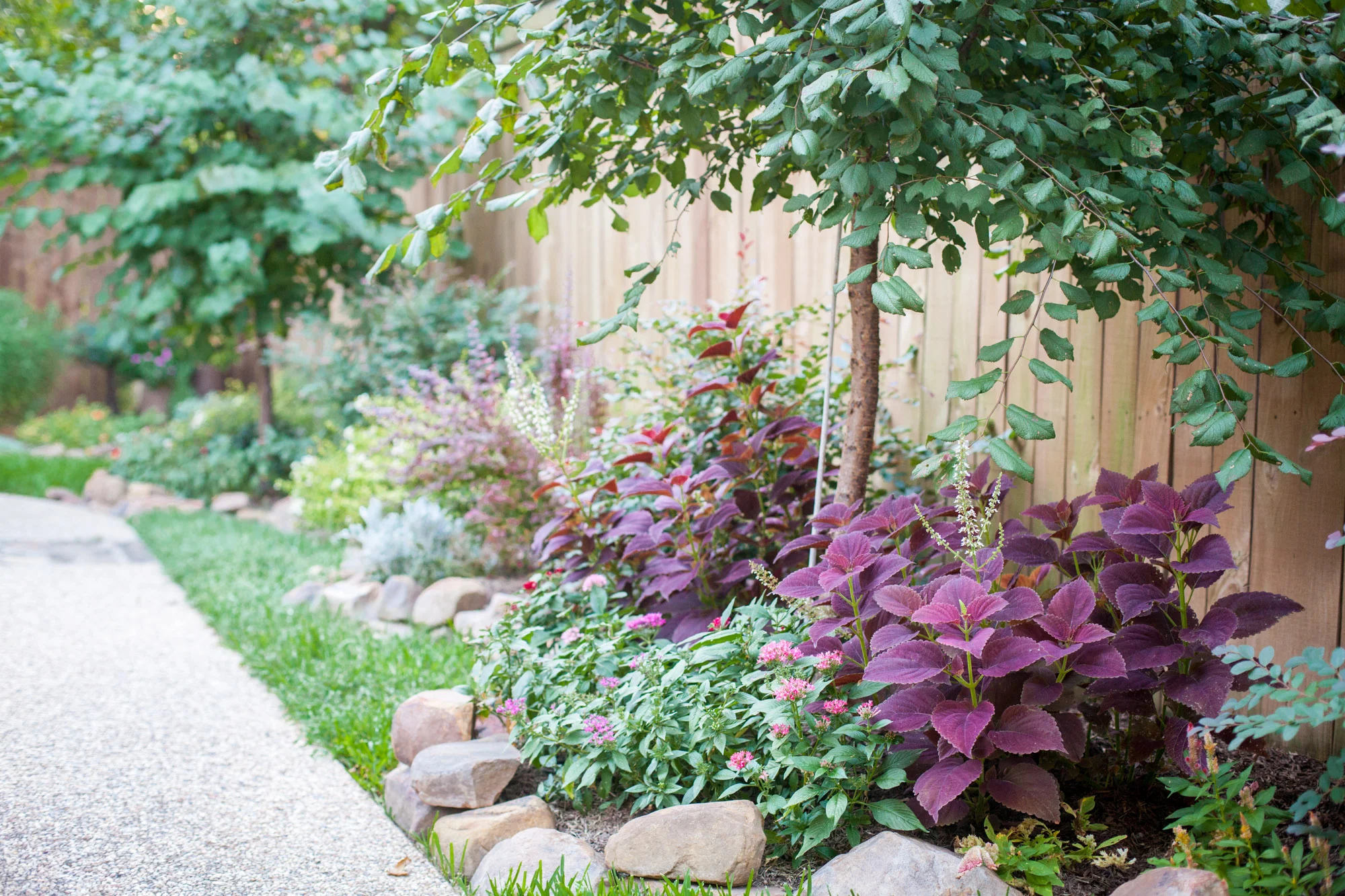 Blue Ribbon Lady Landscaping