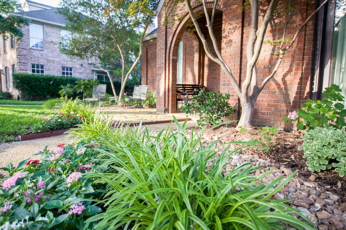 Blue Ribbon Lady Landscaping