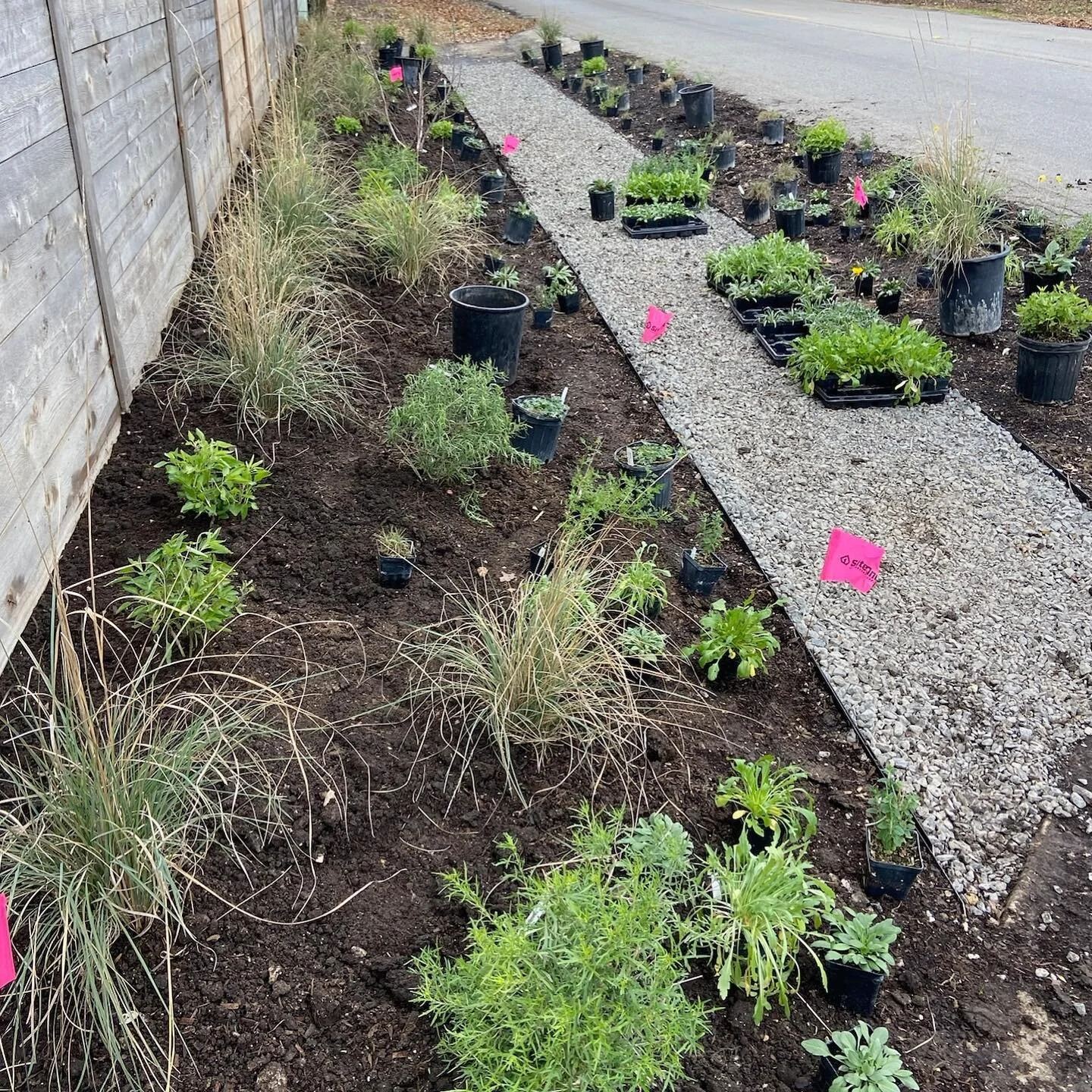 Blue Ribbon Lady Landscaping