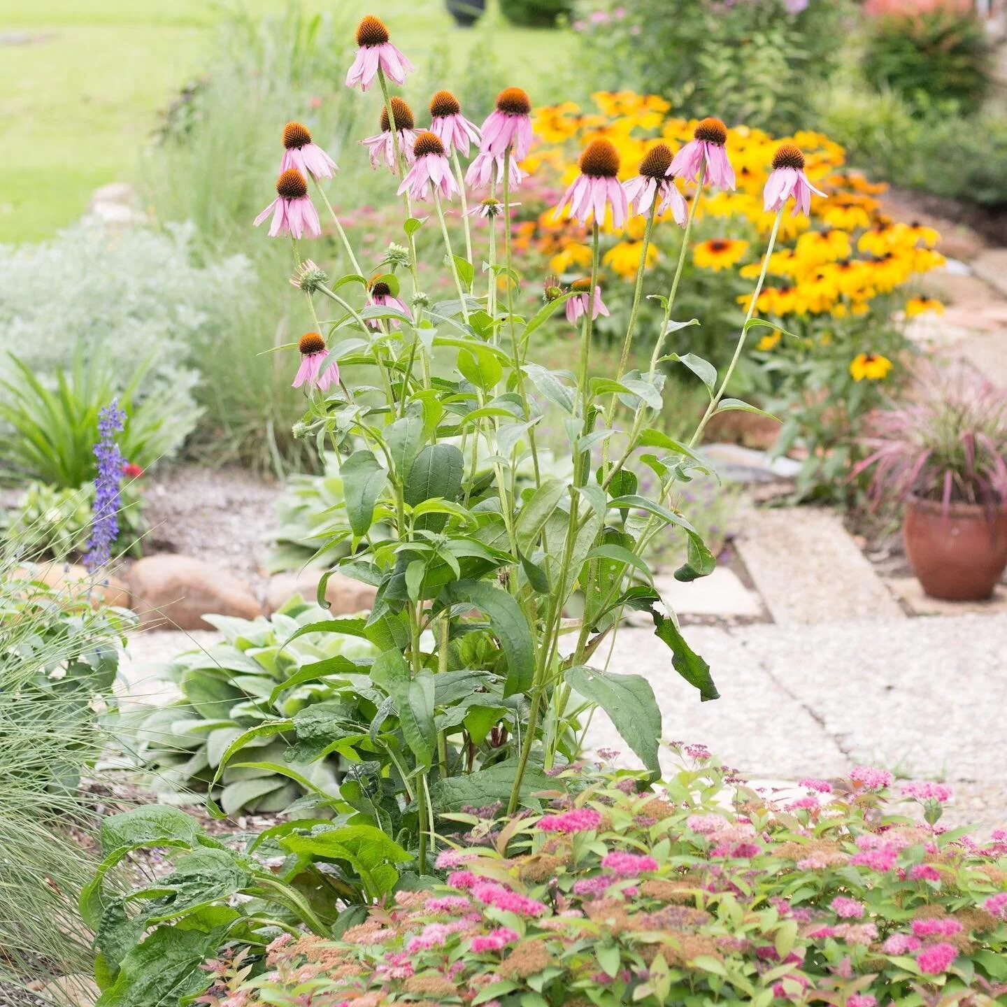 Ravine — Blue Ribbon Lady Landscaping