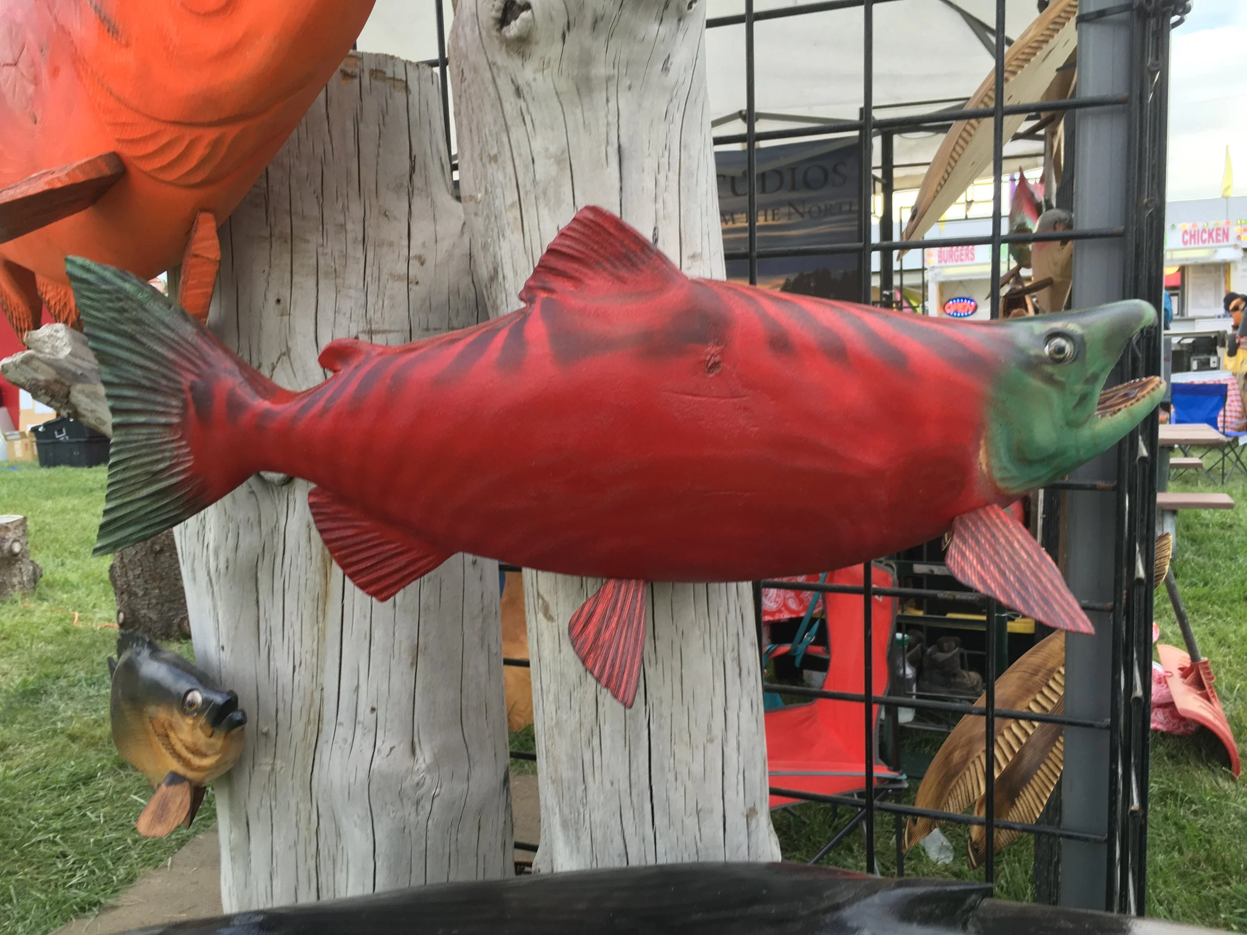 Marine Life — Robbie Carver