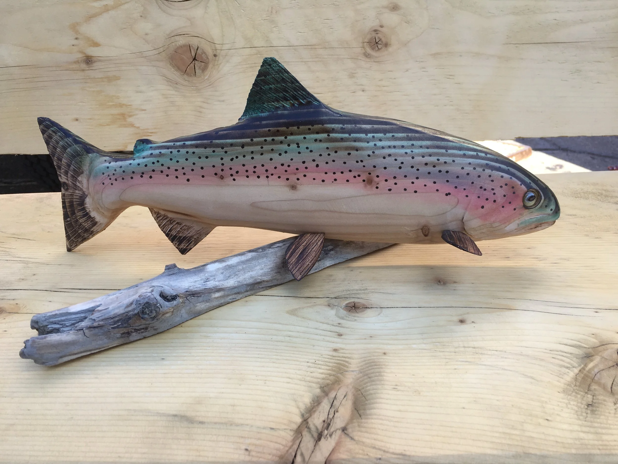 Marine Life — Robbie Carver