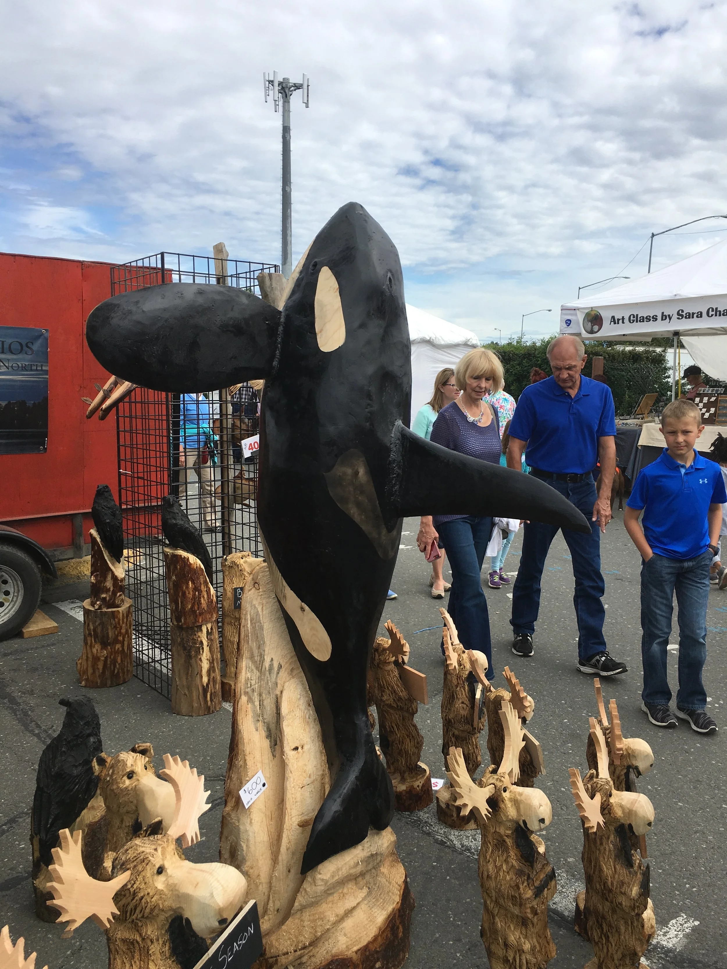 Marine Life — Robbie Carver