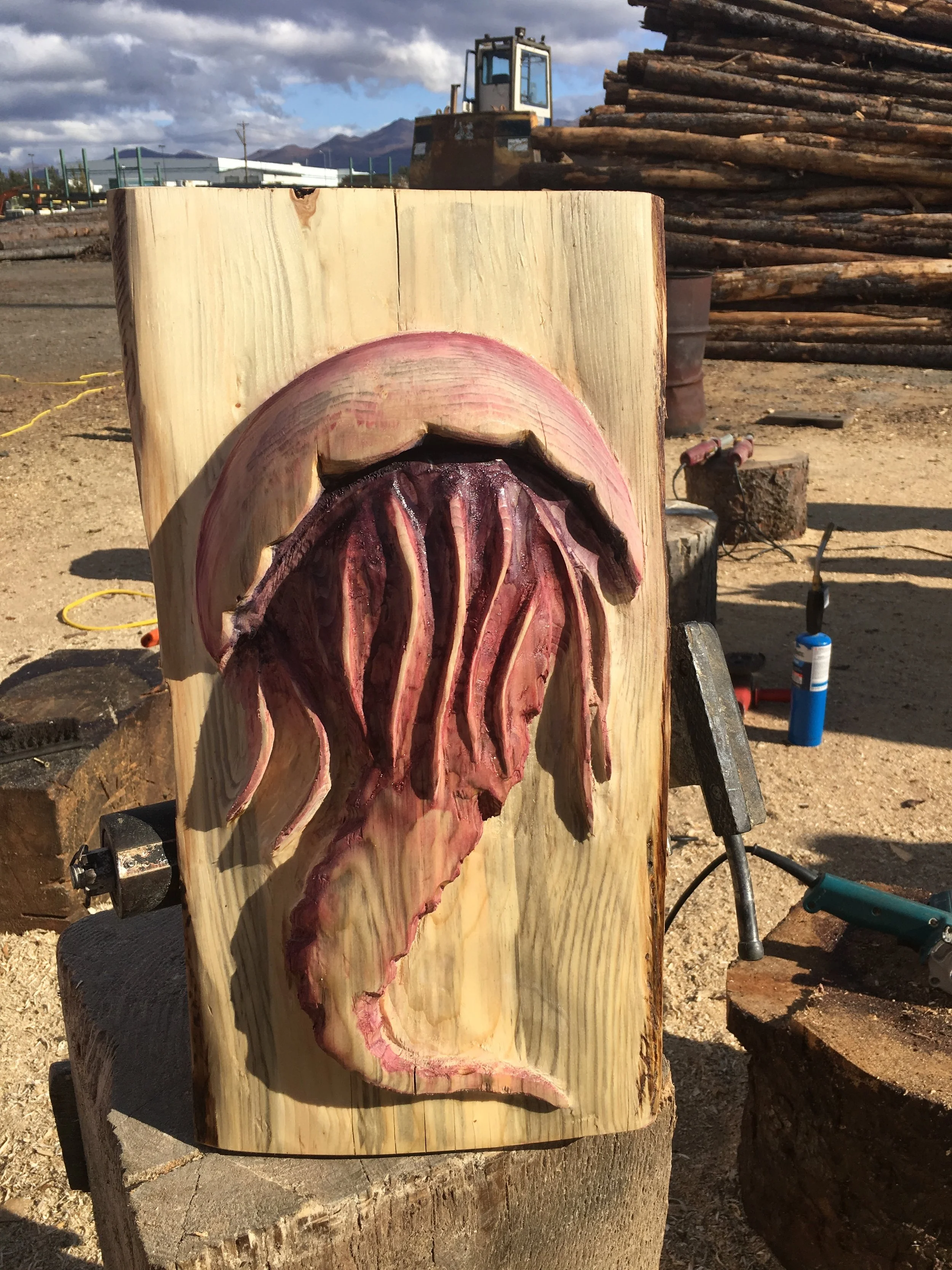 Marine Life — Robbie Carver