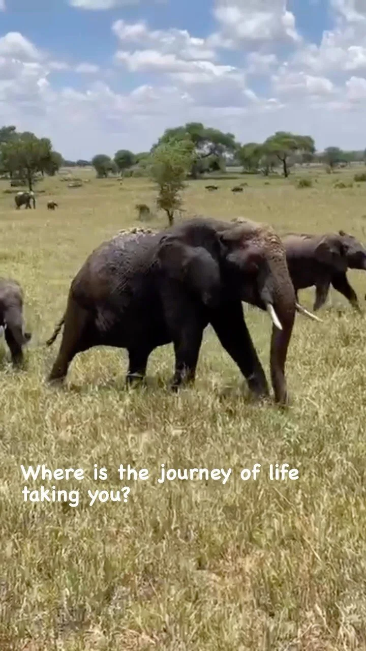 What you need to know about Postpartum Depression Sacramento Cousneling