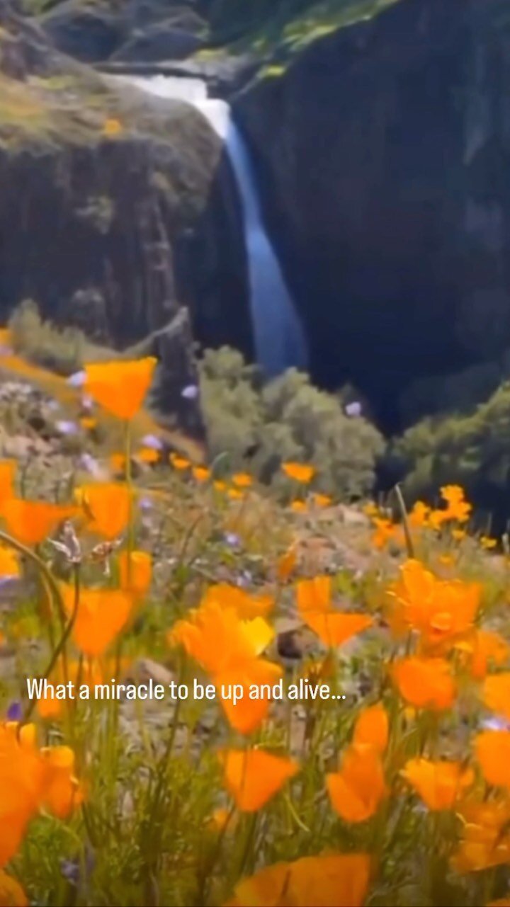 What you need to know about Postpartum Depression Sacramento Cousneling