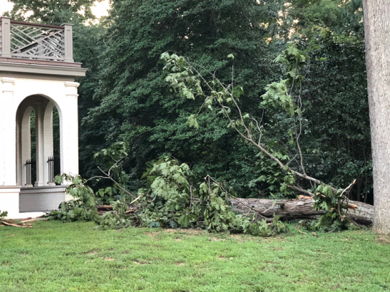 Back at Home – From Scotland to Richmond | Catherine Jordan Design