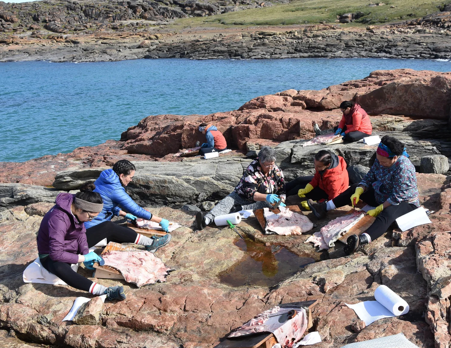 Aurniarivik: Inuktut Second Language for Inuit — Pirurvik Centre