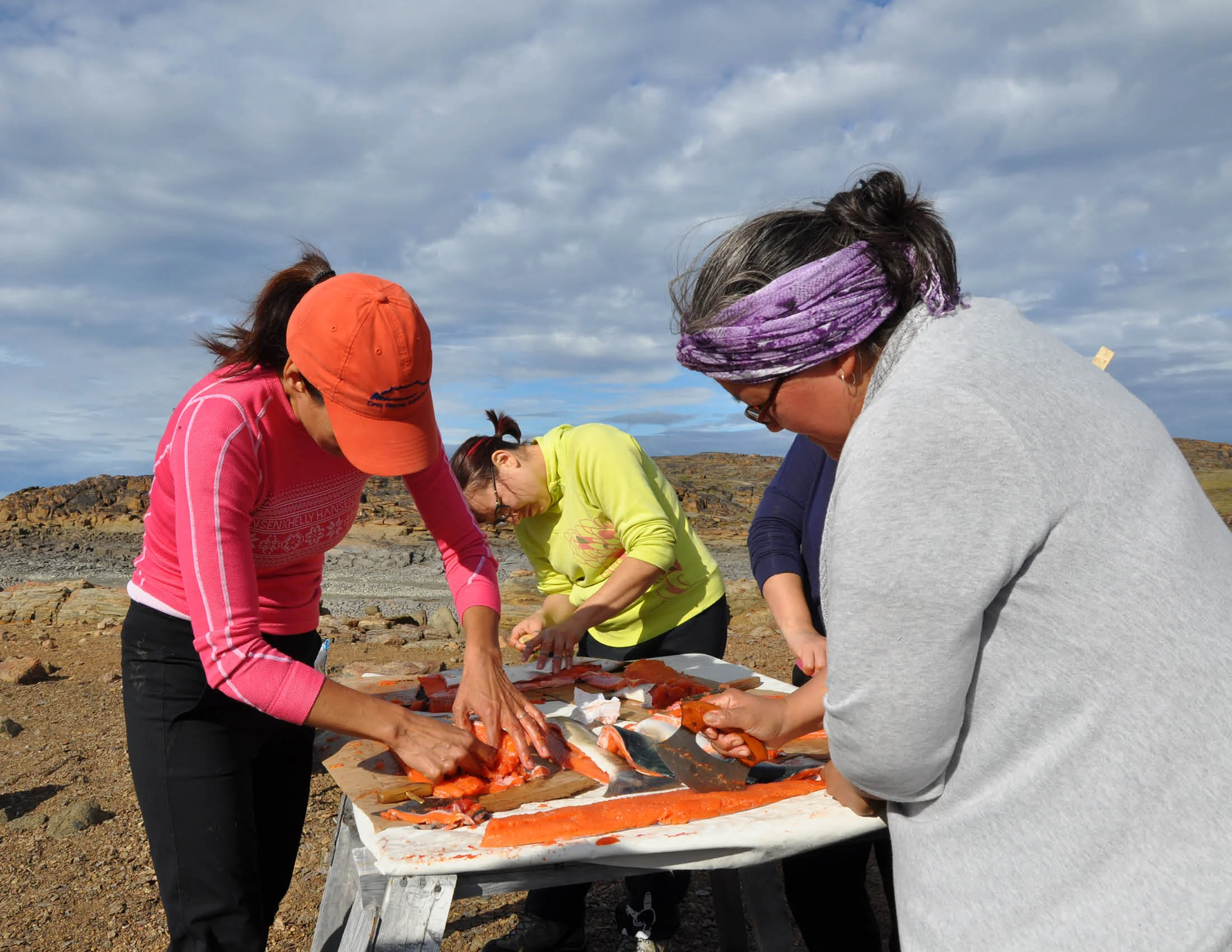 Qimattuvik: Professional Inuktut Skills for the Workplace — Pirurvik Centre