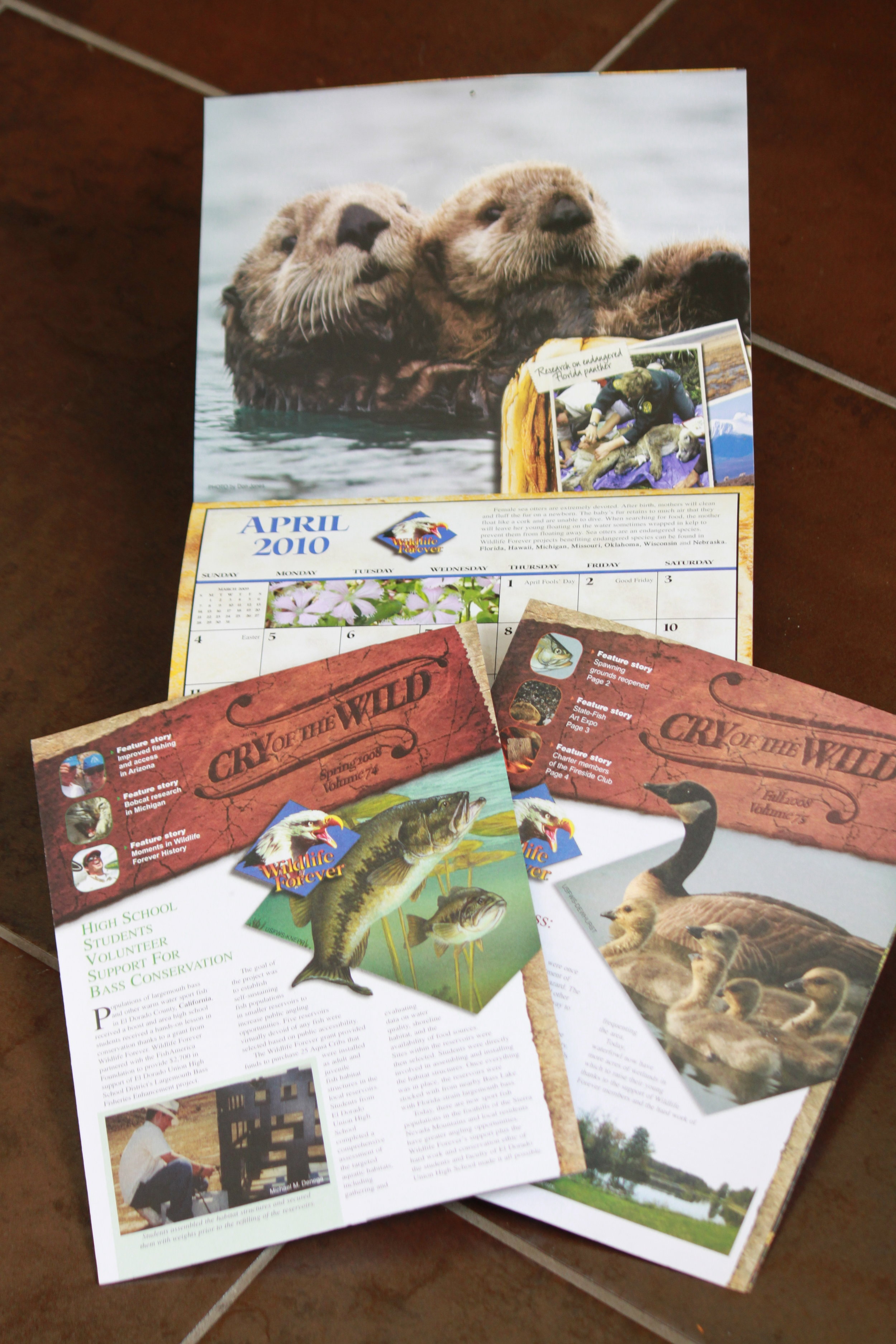 Wildlife Forever — Holiday Camp
