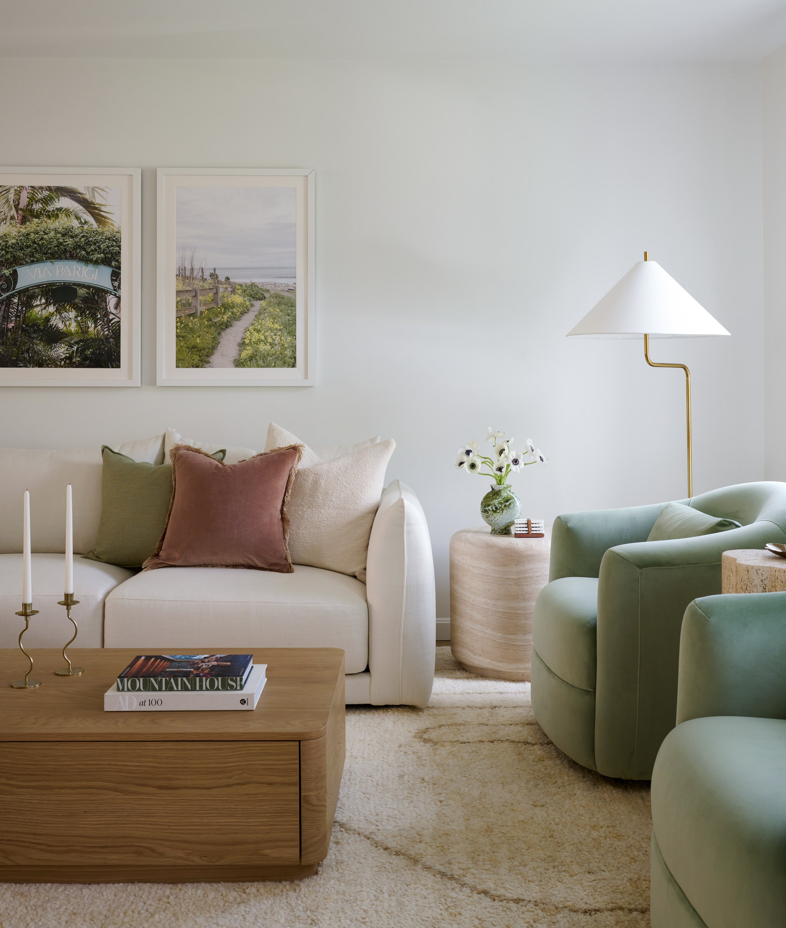 Needham Heights Design Project | Desiree Burns Interiors