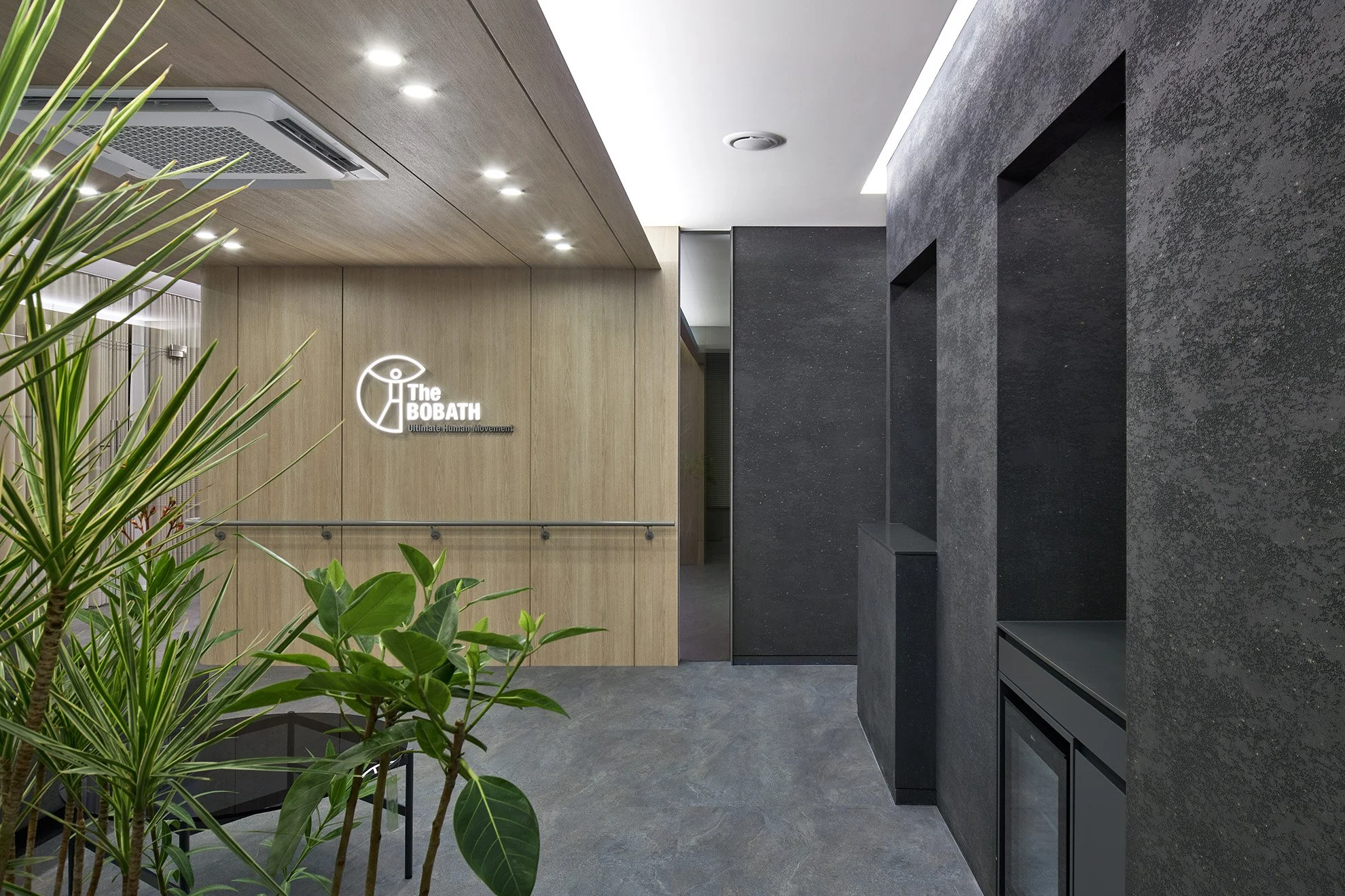 The bobath — mannal