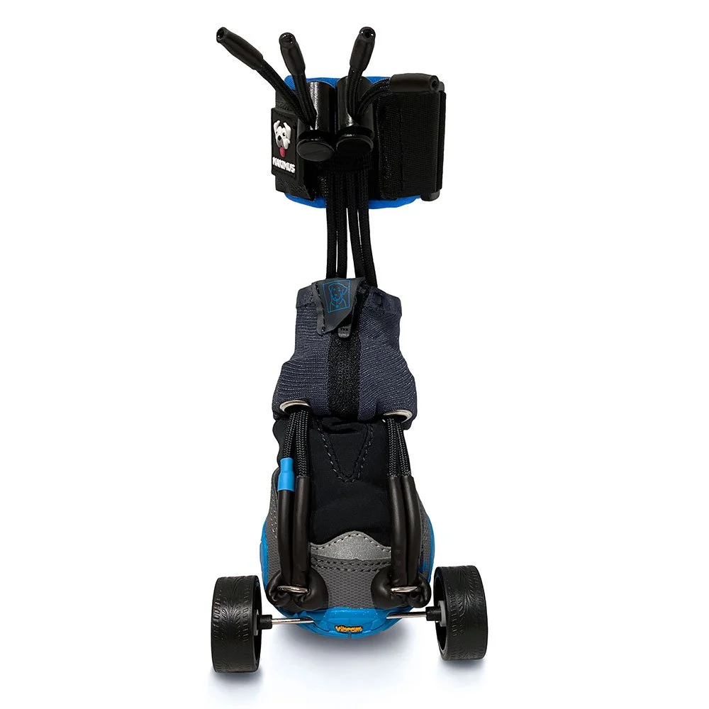 Buy Skates for Disabled Dogs in Wheelchair — Roller Skate with Maximus