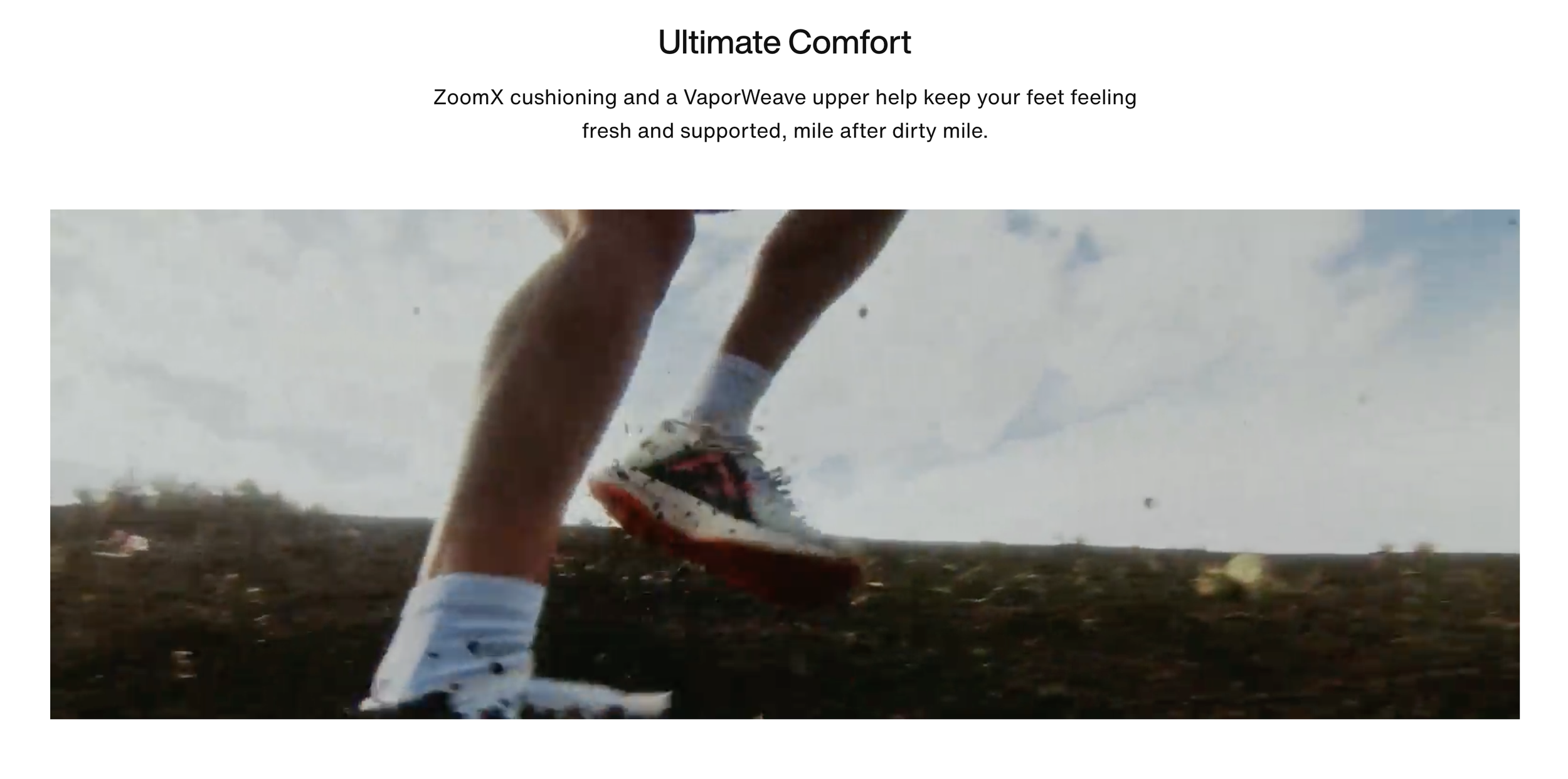 Pages – copy | content | concept