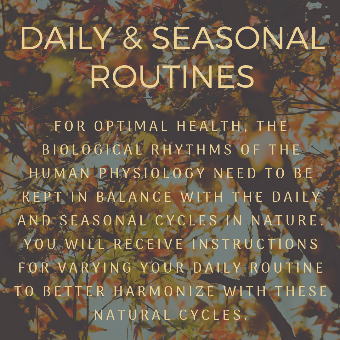 Personal Ayurvedic Consultation — GIAM