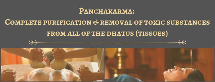 The Ayurvedic Approach to Parkinson's Disease (Kampavata) by Scott ...