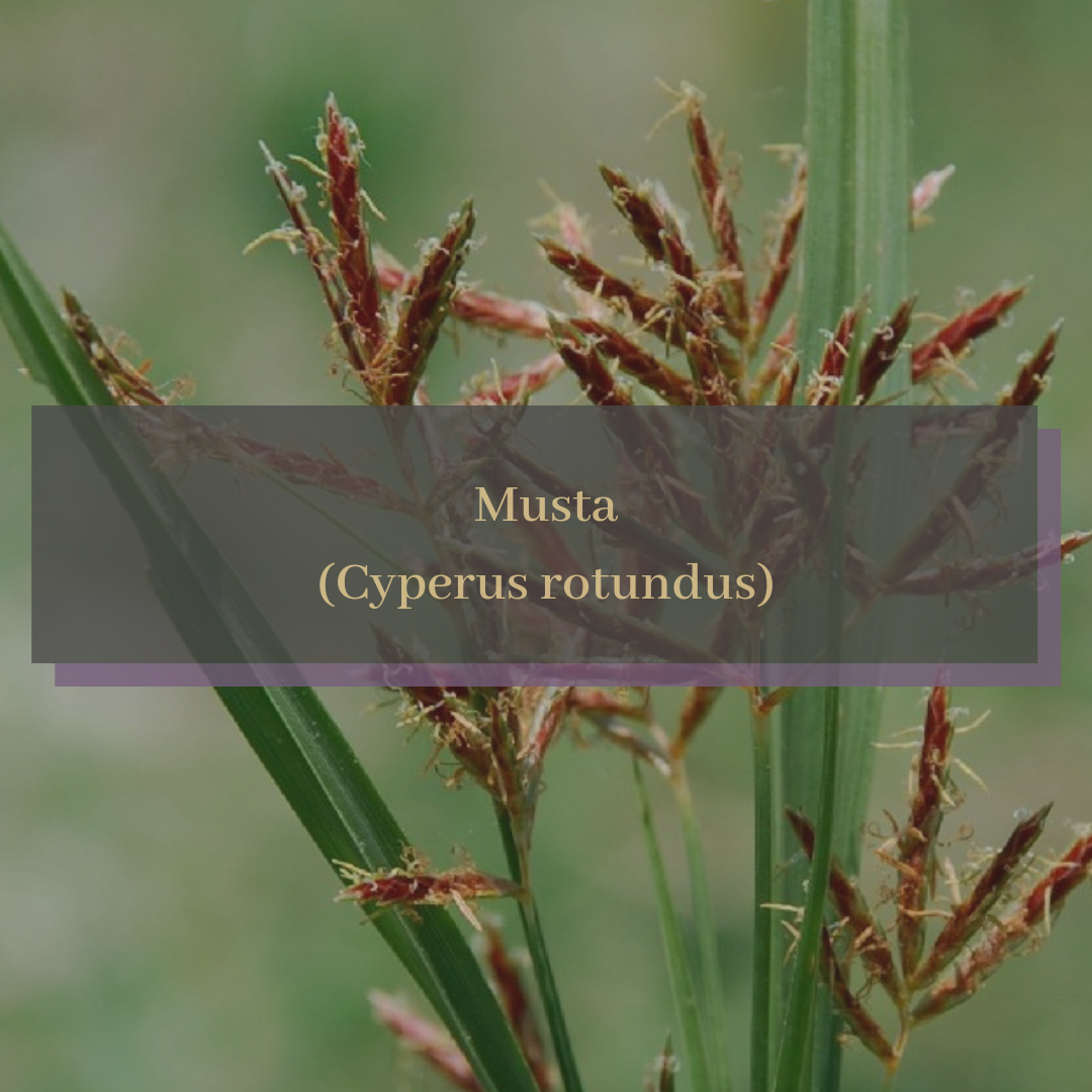 The Ayurvedic Approach to Candidiasis by Scott Gerson, MD, M. Phil ...