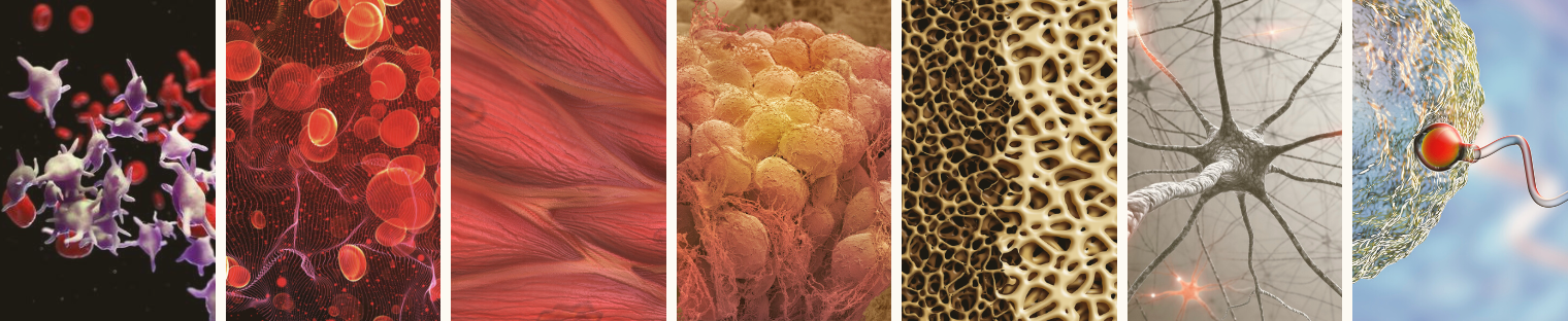 Ayurvedic Principles — GIAM