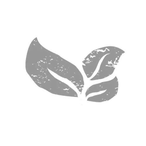 Staff Team — Inner City Youth Alive