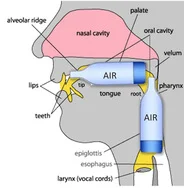 The Resonant Voice — Beth Roars