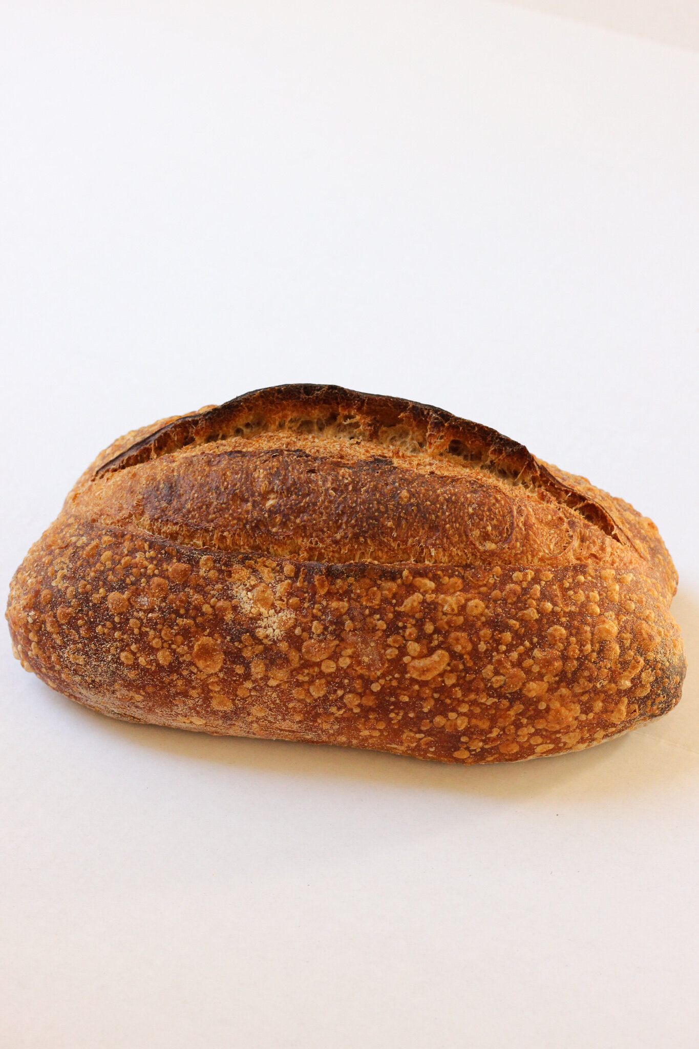 Single Country Loaf (Curbside Pick Up) — Verdant Bread