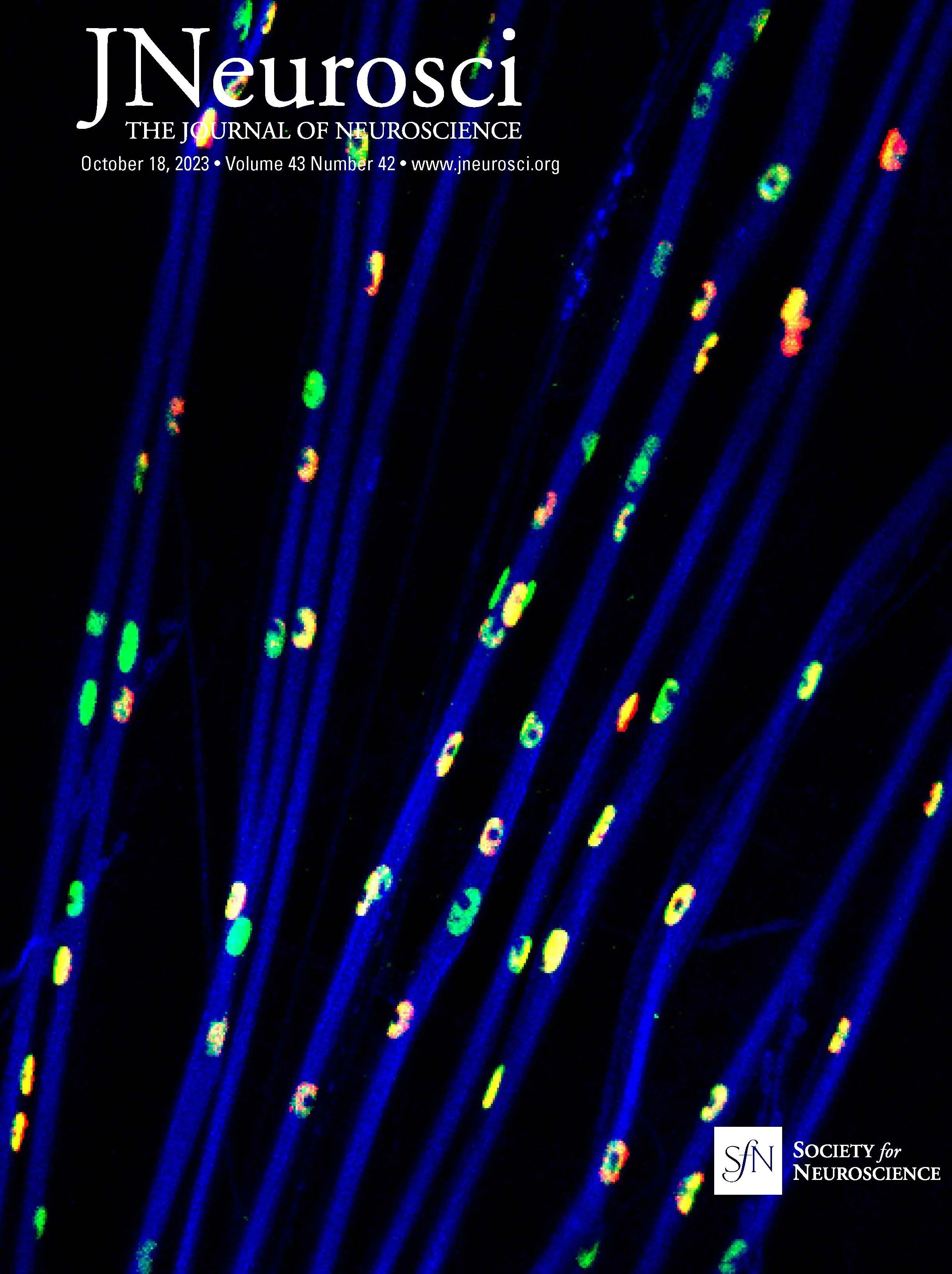Publications — Wang Lab @ Georgetown