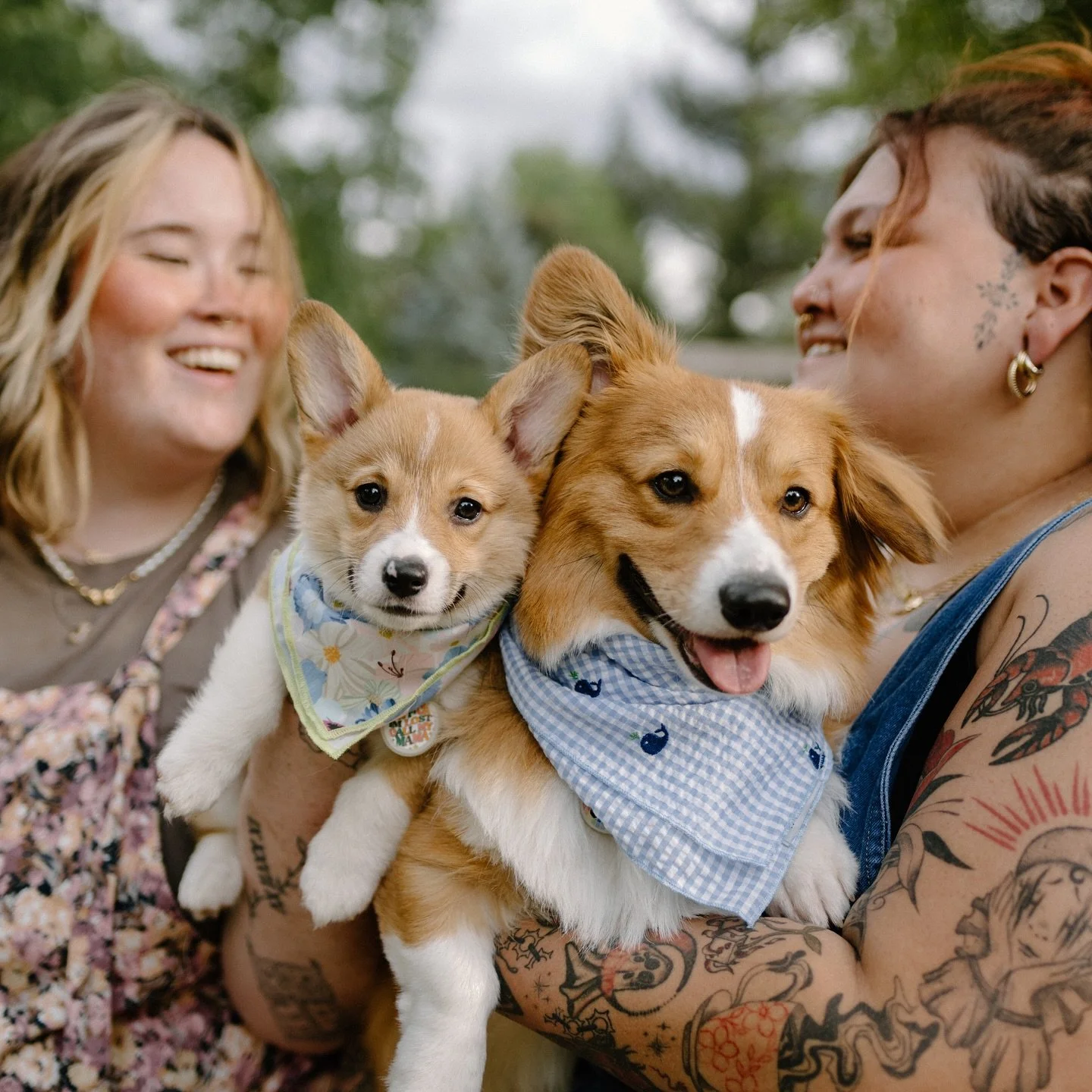 Rachel Ruth | Indiana Wedding & Portrait Photography