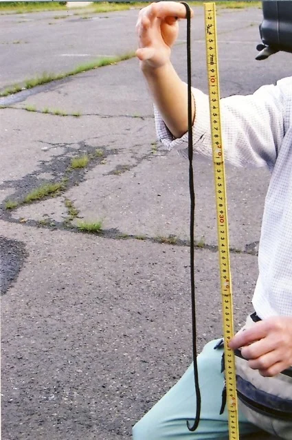 The Hatta-mimizu Earthworm Derby — Global Soil Biodiversity Initiative