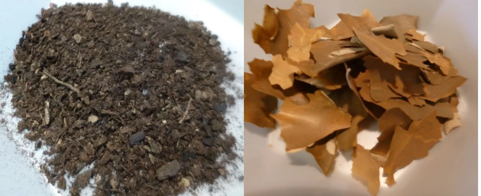 Not all soil carbon is created equal: The key thing soil carbon ...