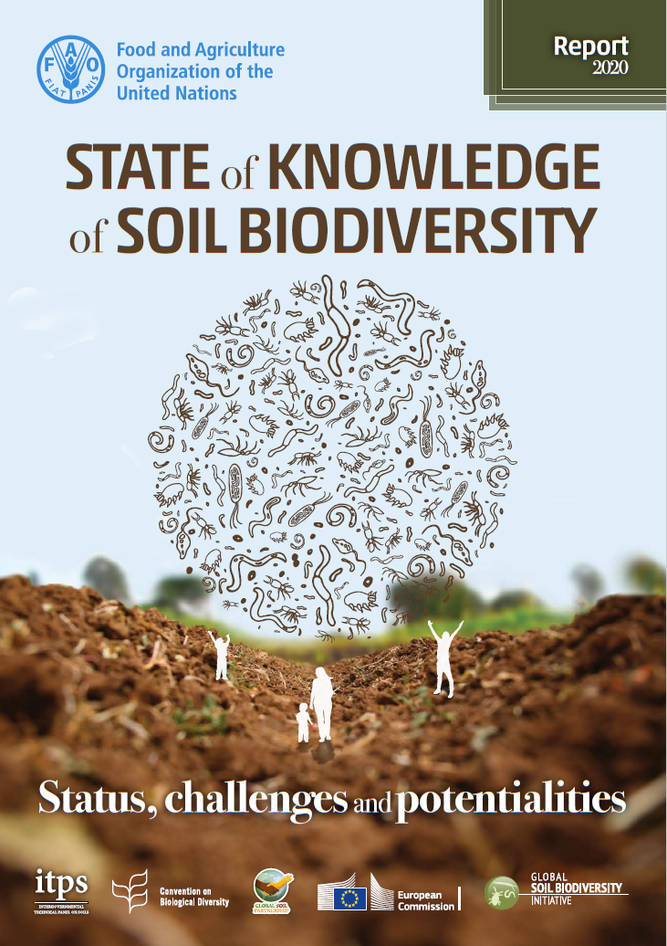 Global Soil Biodiversity Initiative