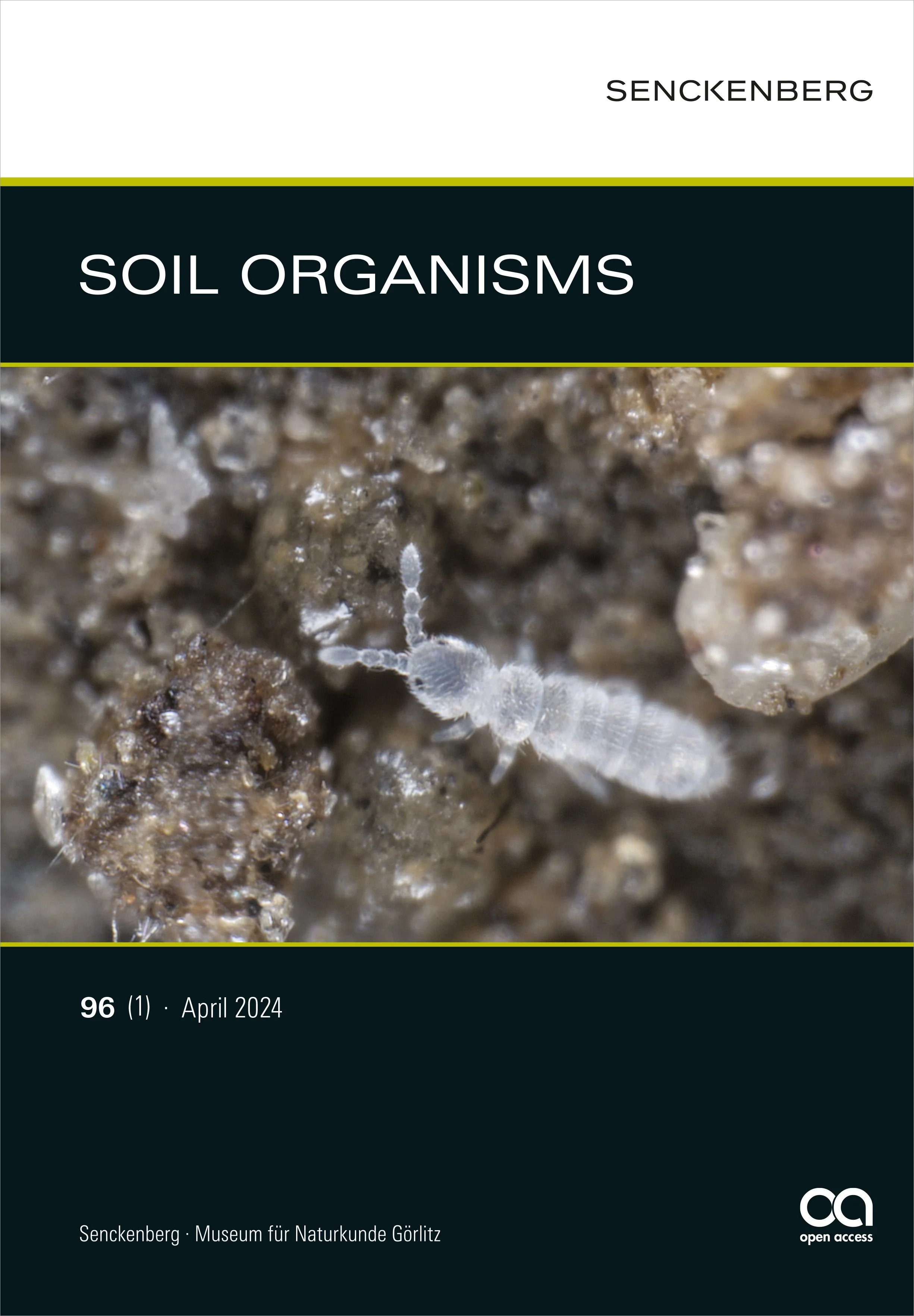 Global Soil Biodiversity Initiative
