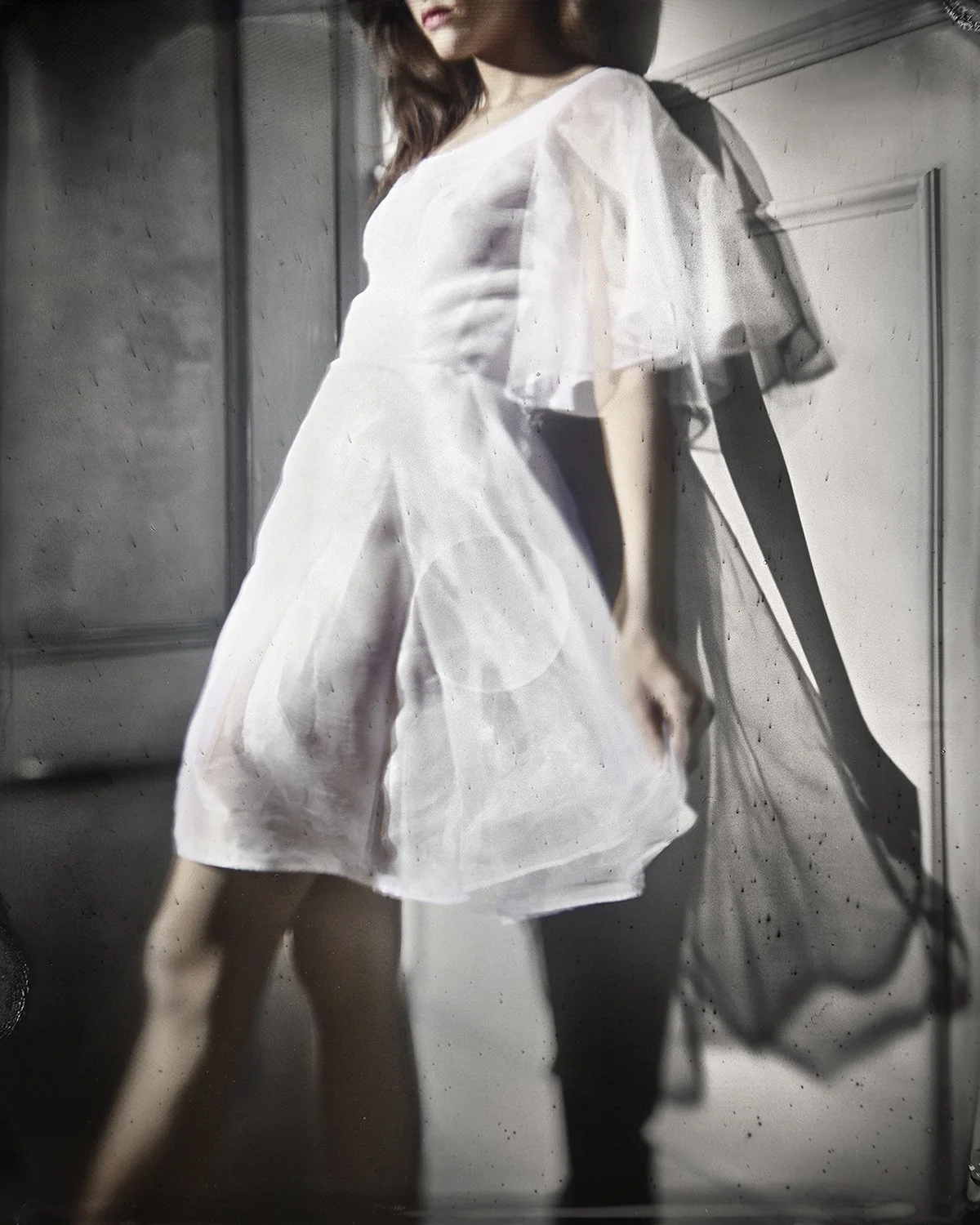 Shadow Dancing — Barbara Cole