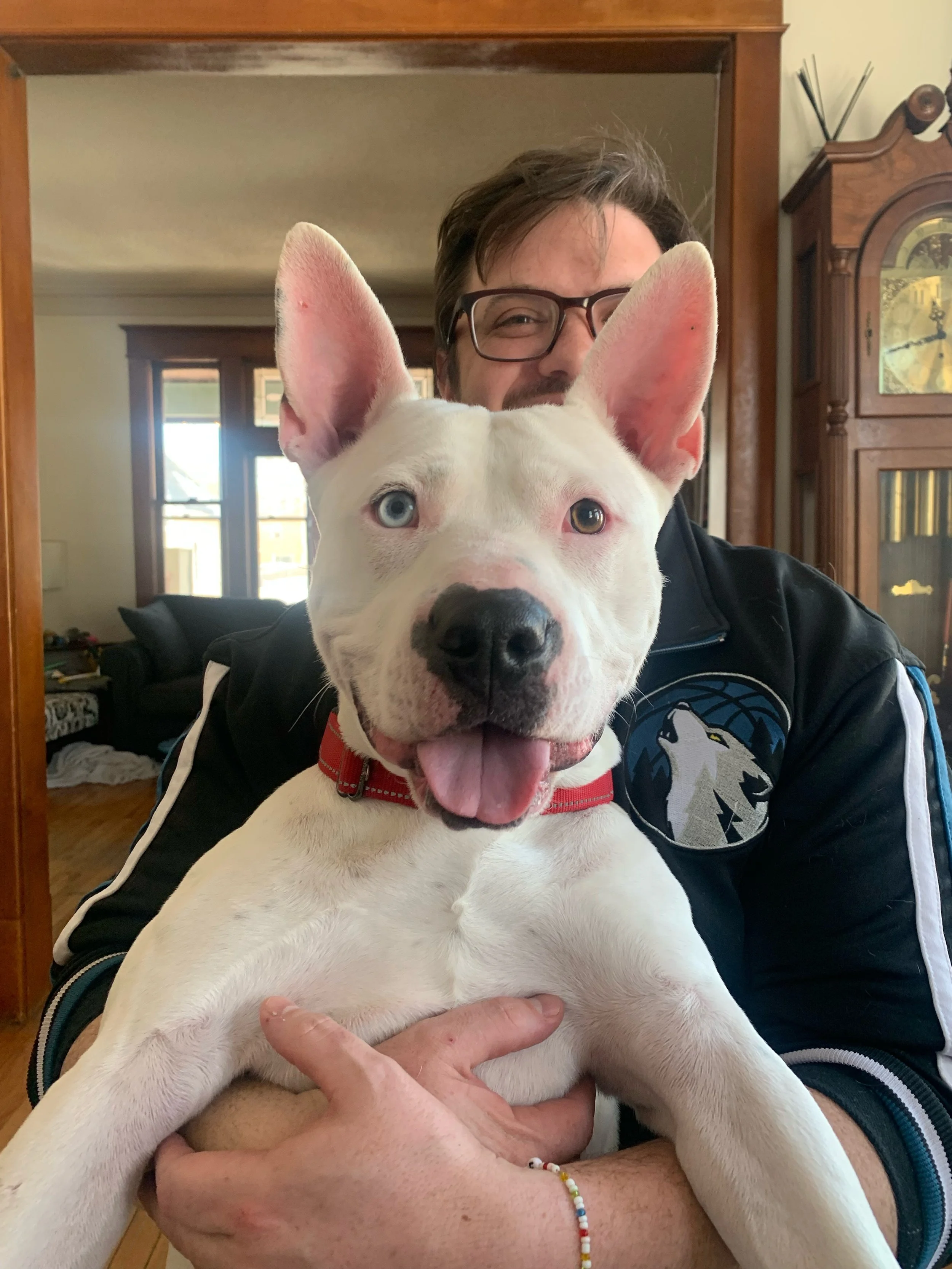 Kenny — UnbreakaBULL Pitbull Rescue