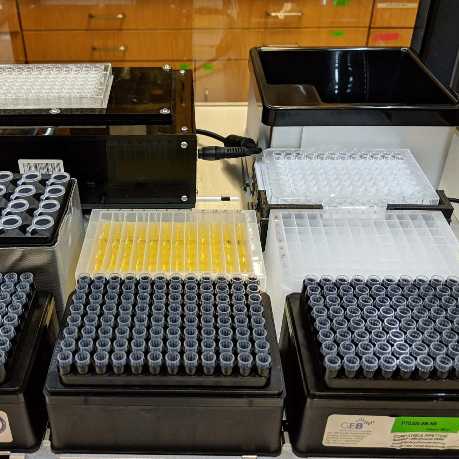 Research — Mai Lab