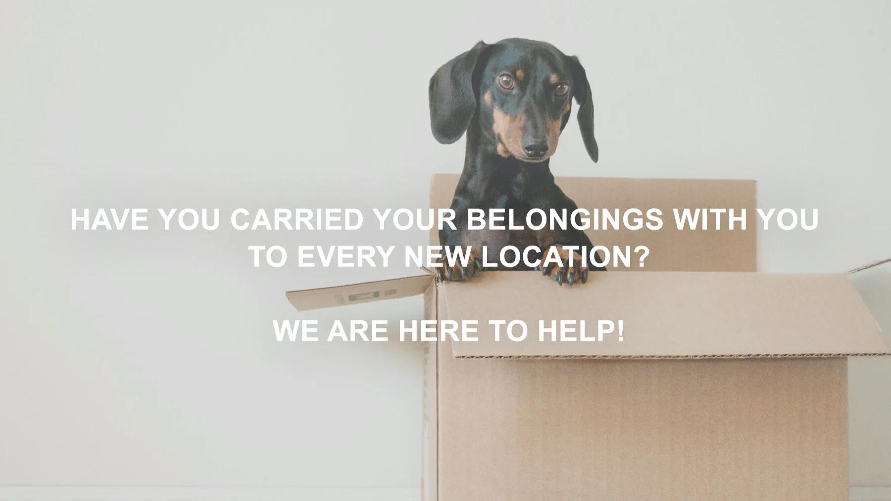 Concierge Relocation Services — Organization & Relocation