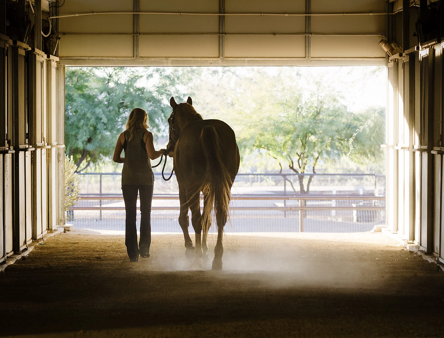 Equestrian Photography Phoenix Arizona — Mark Peterman
