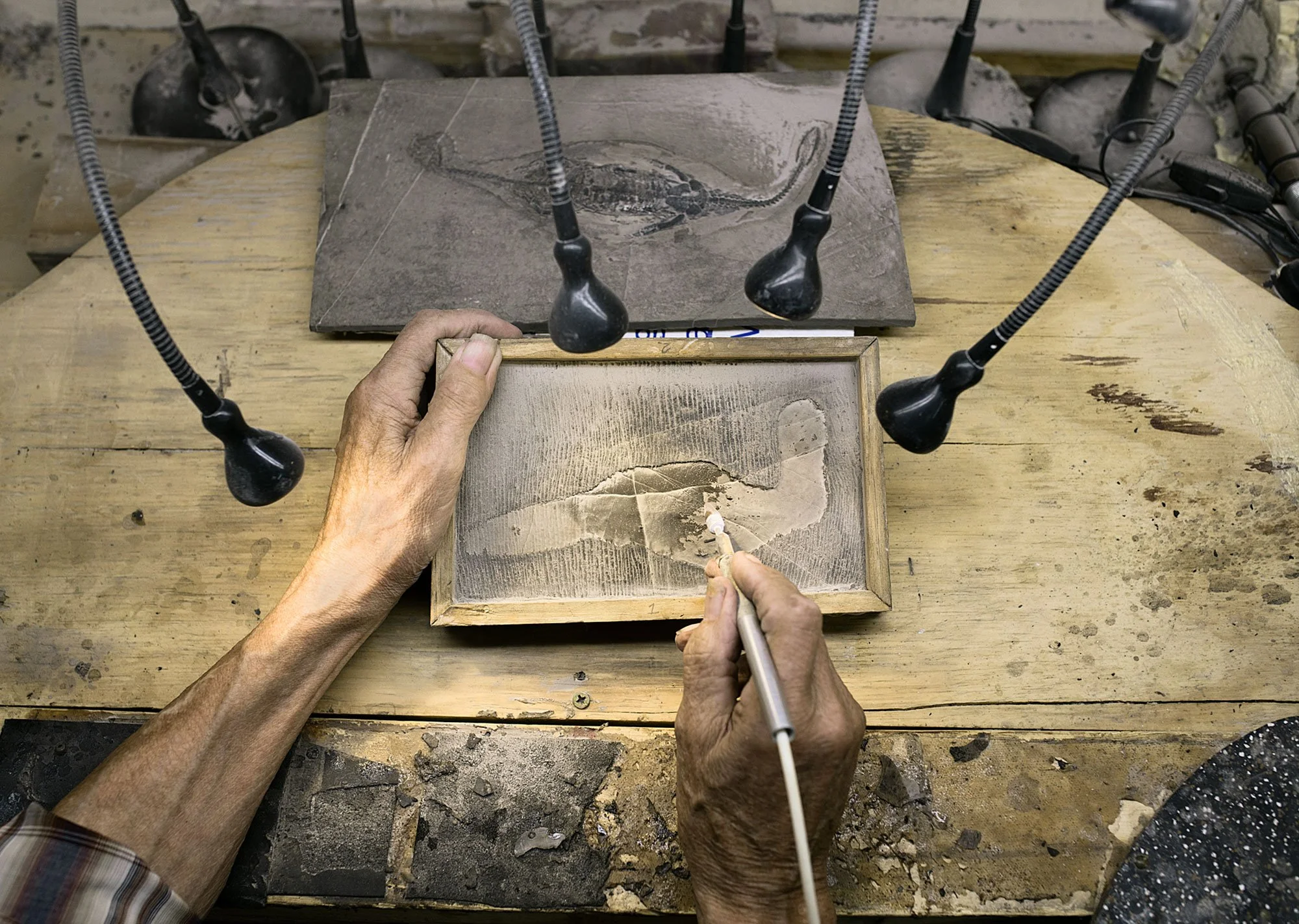 Phoenix Arizona Editorial photography — Mark Peterman