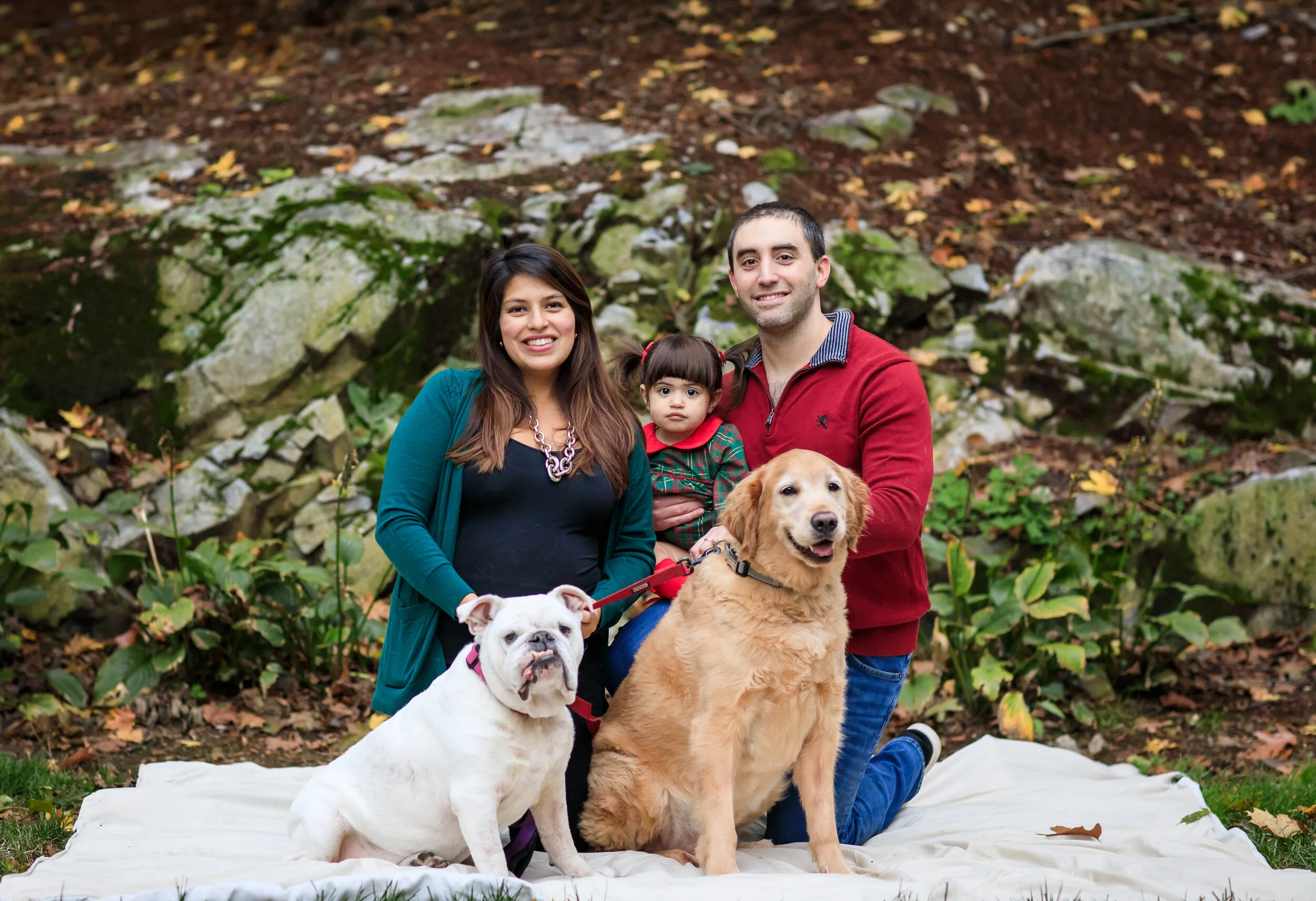 Jimmy Gray Photography - Family Portraits — Jimmy Gray Photo