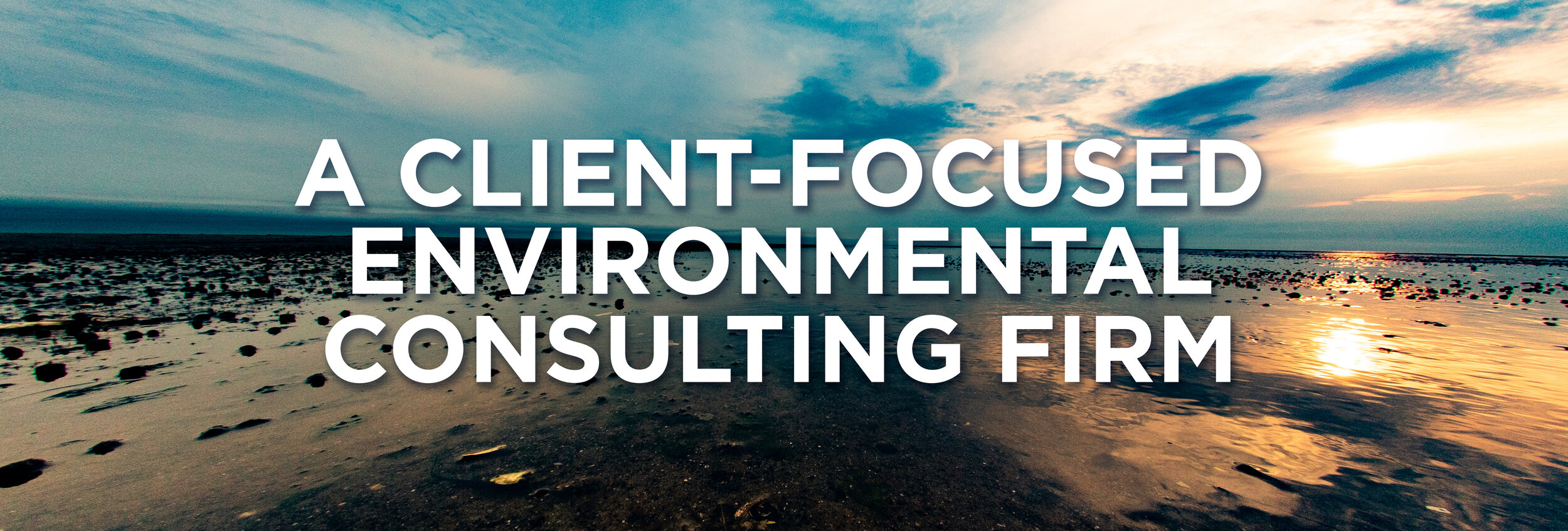 ASSOCIATES ENVIRONMENTAL