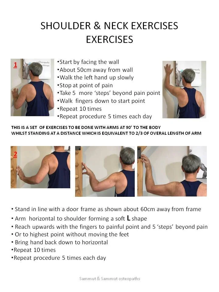 Exercises — SAMMUT AND SAMMUT