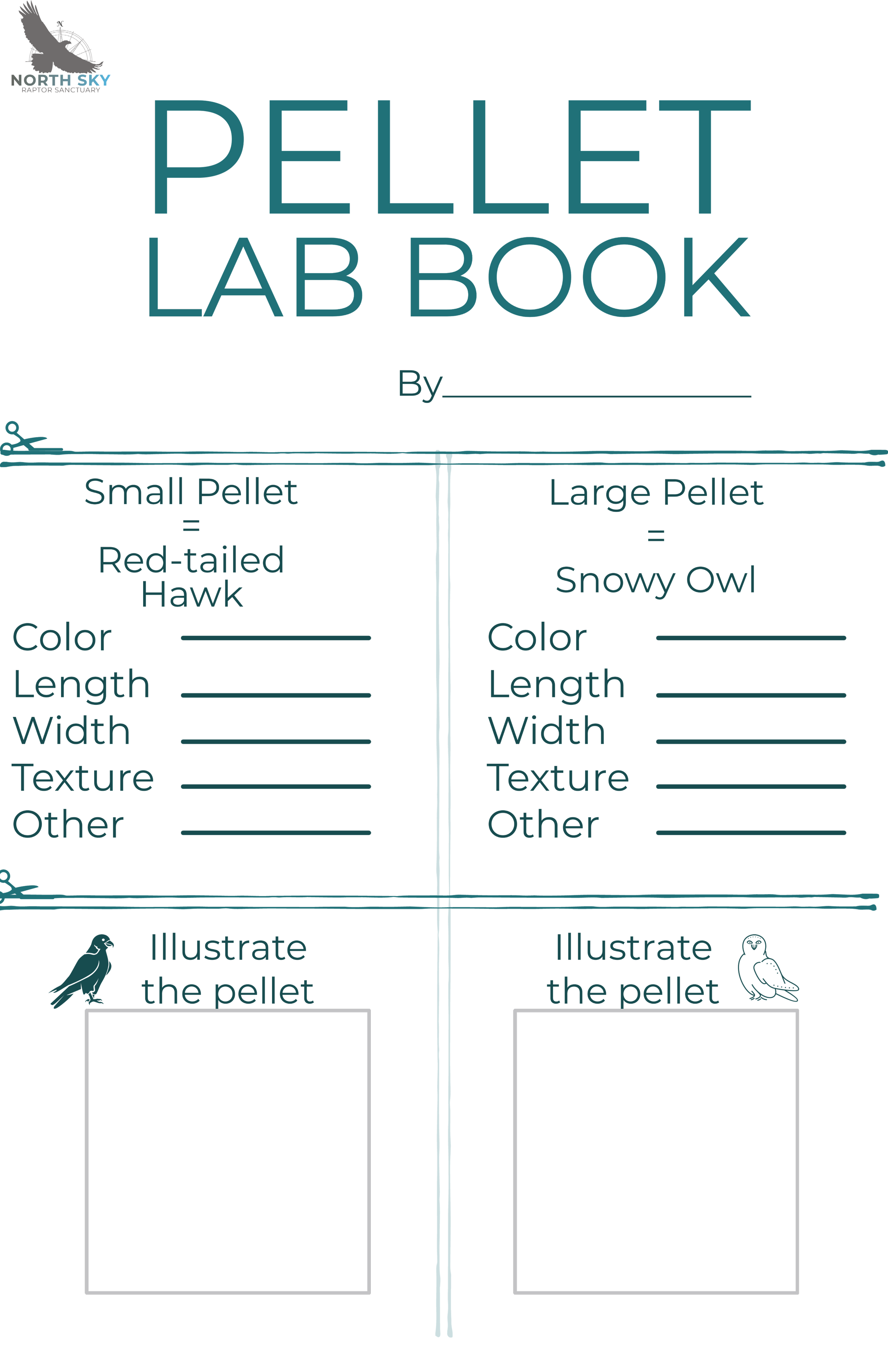 Owl Pellet Packet — North Sky Raptor Sanctuary