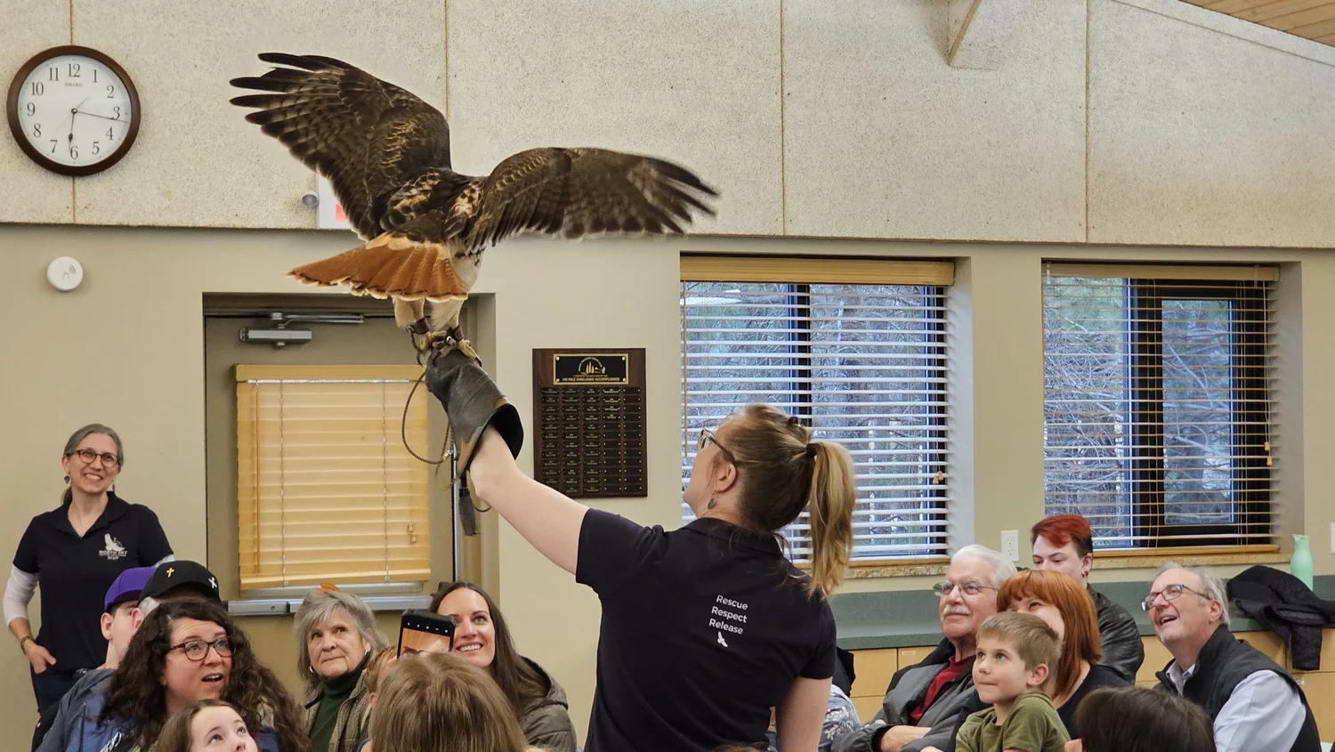 North Sky Raptor Sanctuary