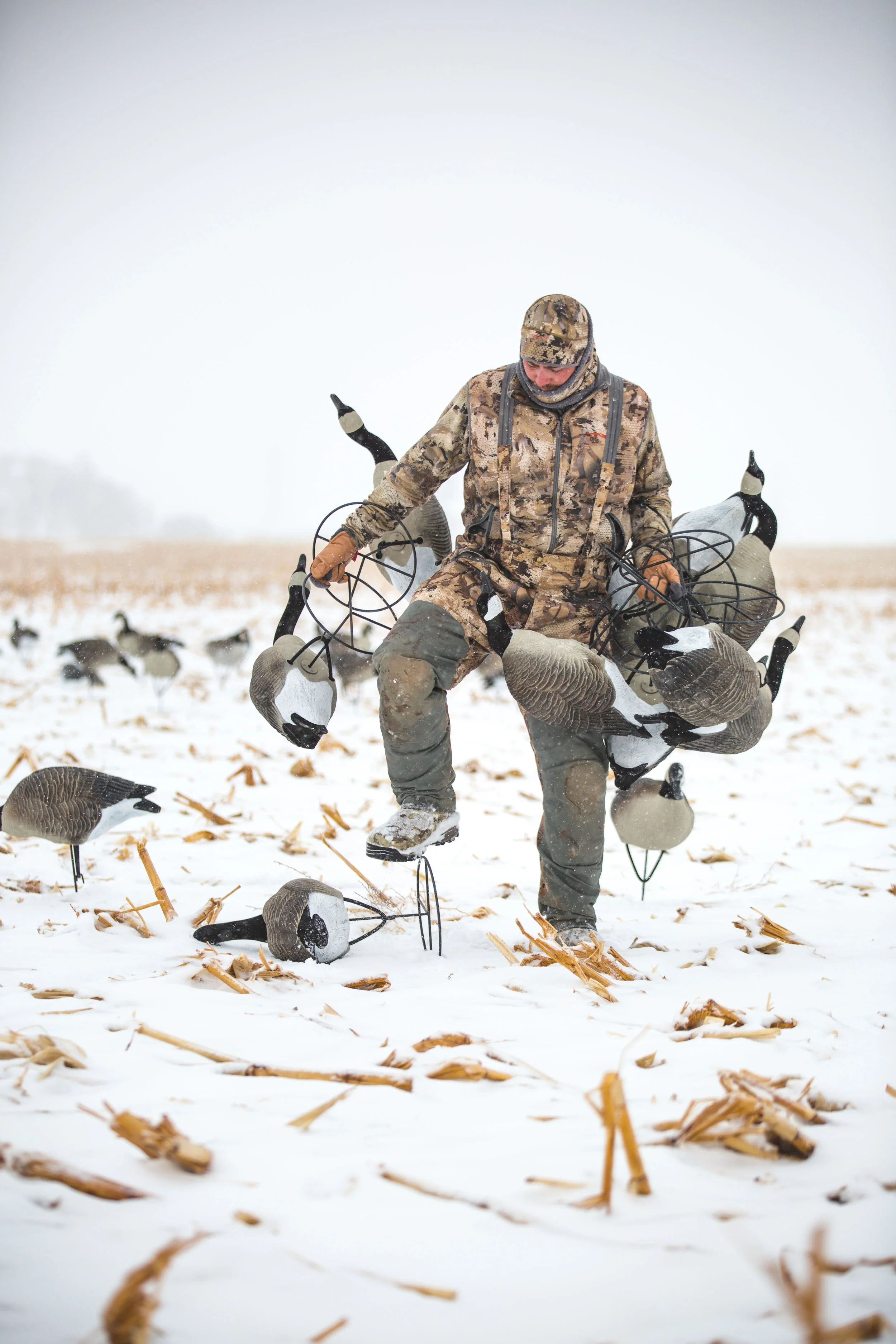 2017-2018 SEASON — Clear Fork Outdoors | Goose & Duck Hunting in Colorado