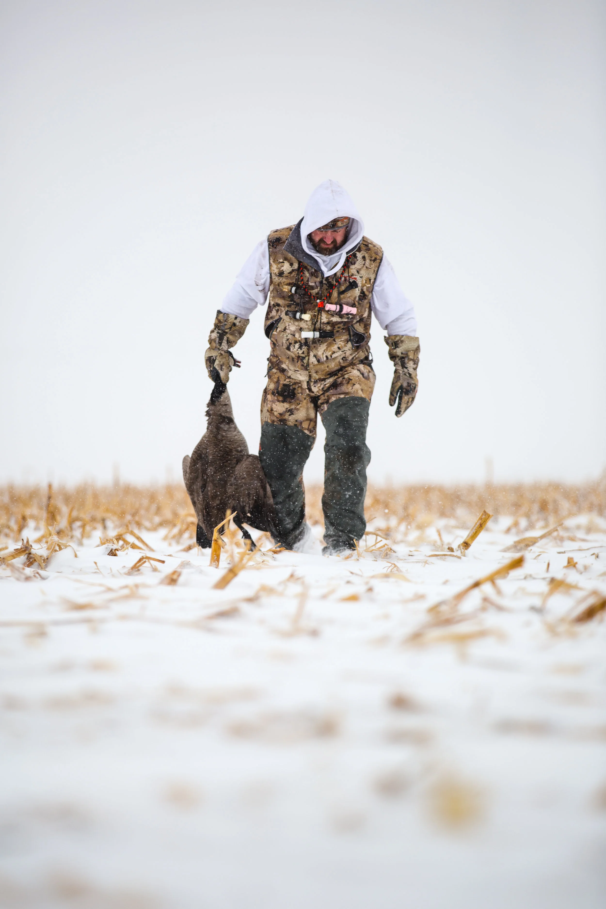 2017-2018 SEASON — Clear Fork Outdoors | Goose & Duck Hunting in Colorado