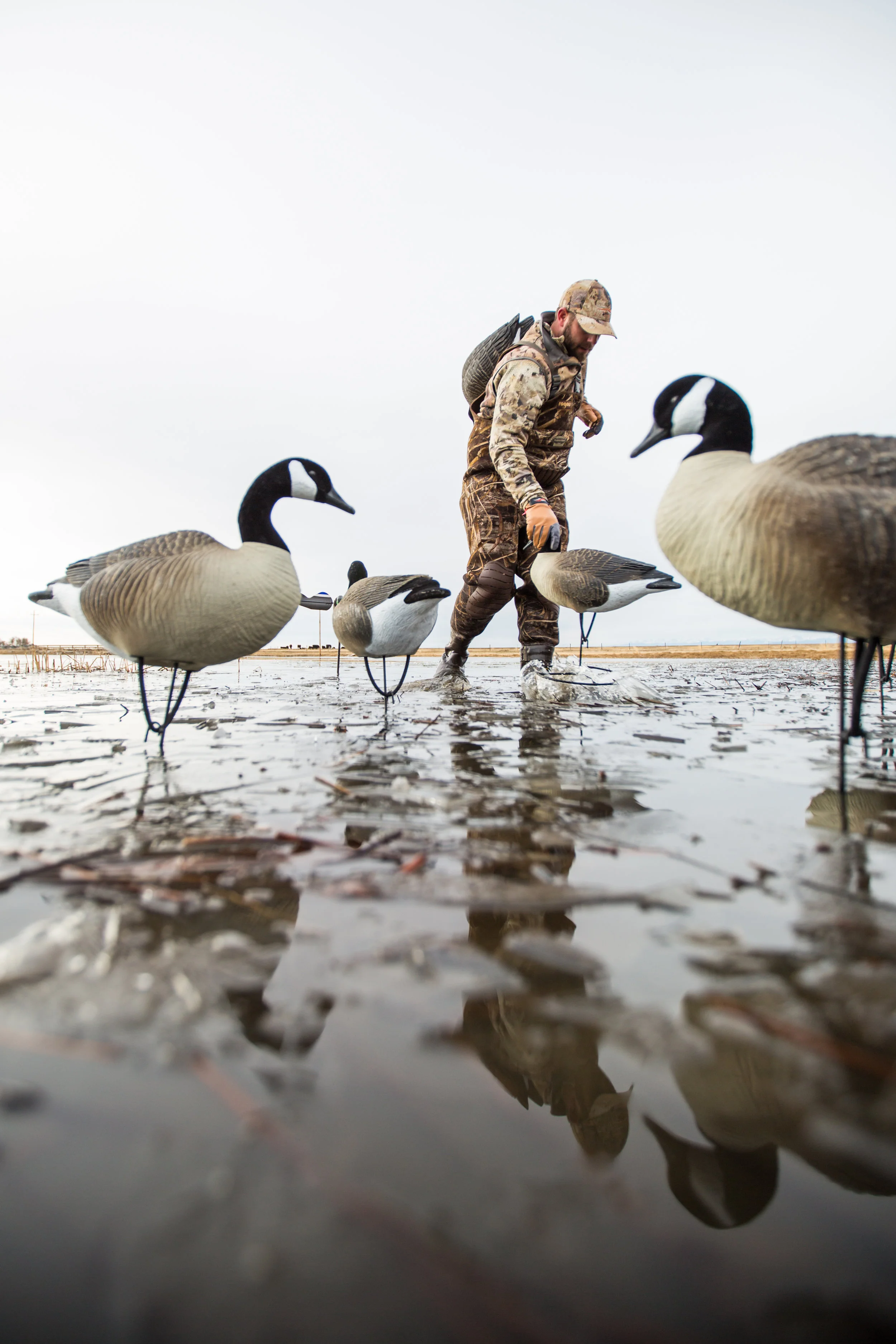 2017-2018 SEASON — Clear Fork Outdoors | Goose & Duck Hunting in Colorado
