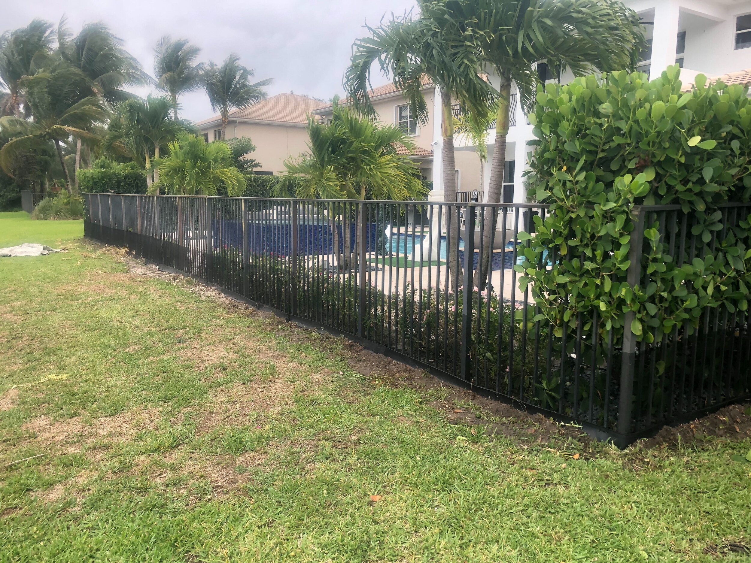 Humane Wildlife Removal of Iguanas, Toads, Ducks and Geese in South ...