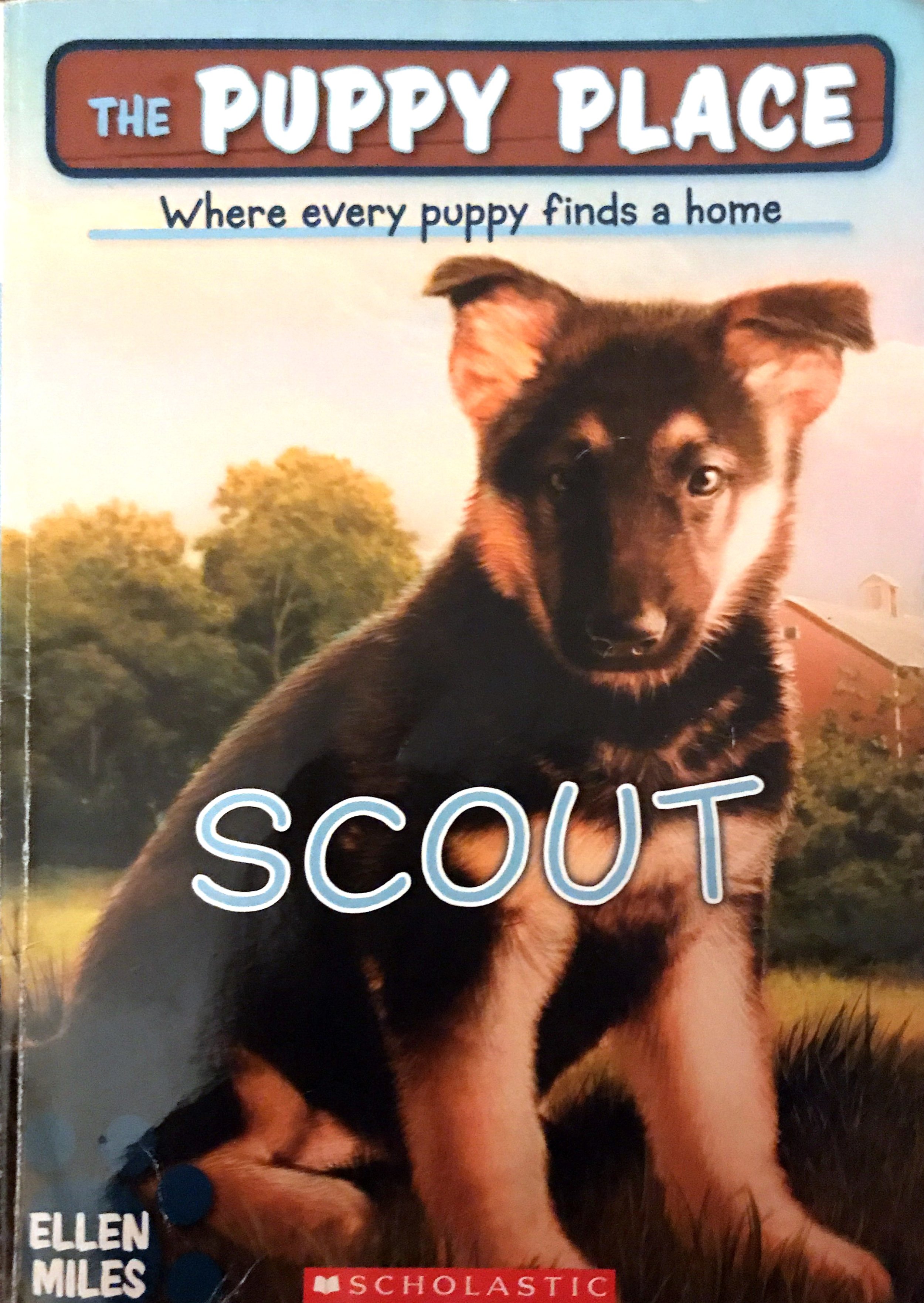 Third Grade — Just Right Reads