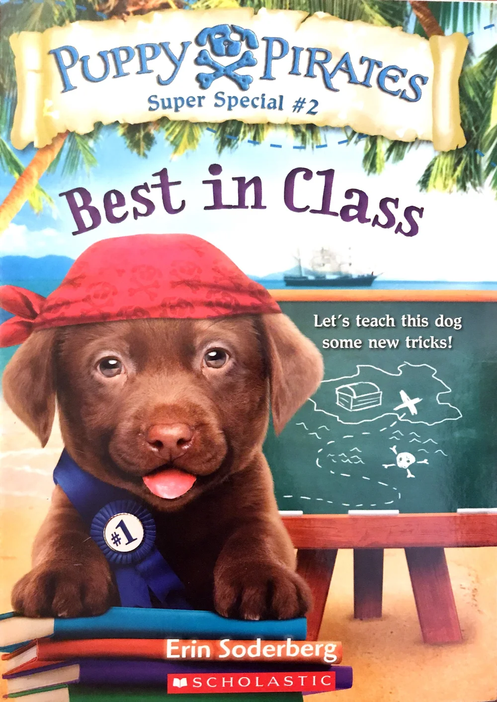 Puppy Pirates Super Special #2: Best in Class — Just Right Reads